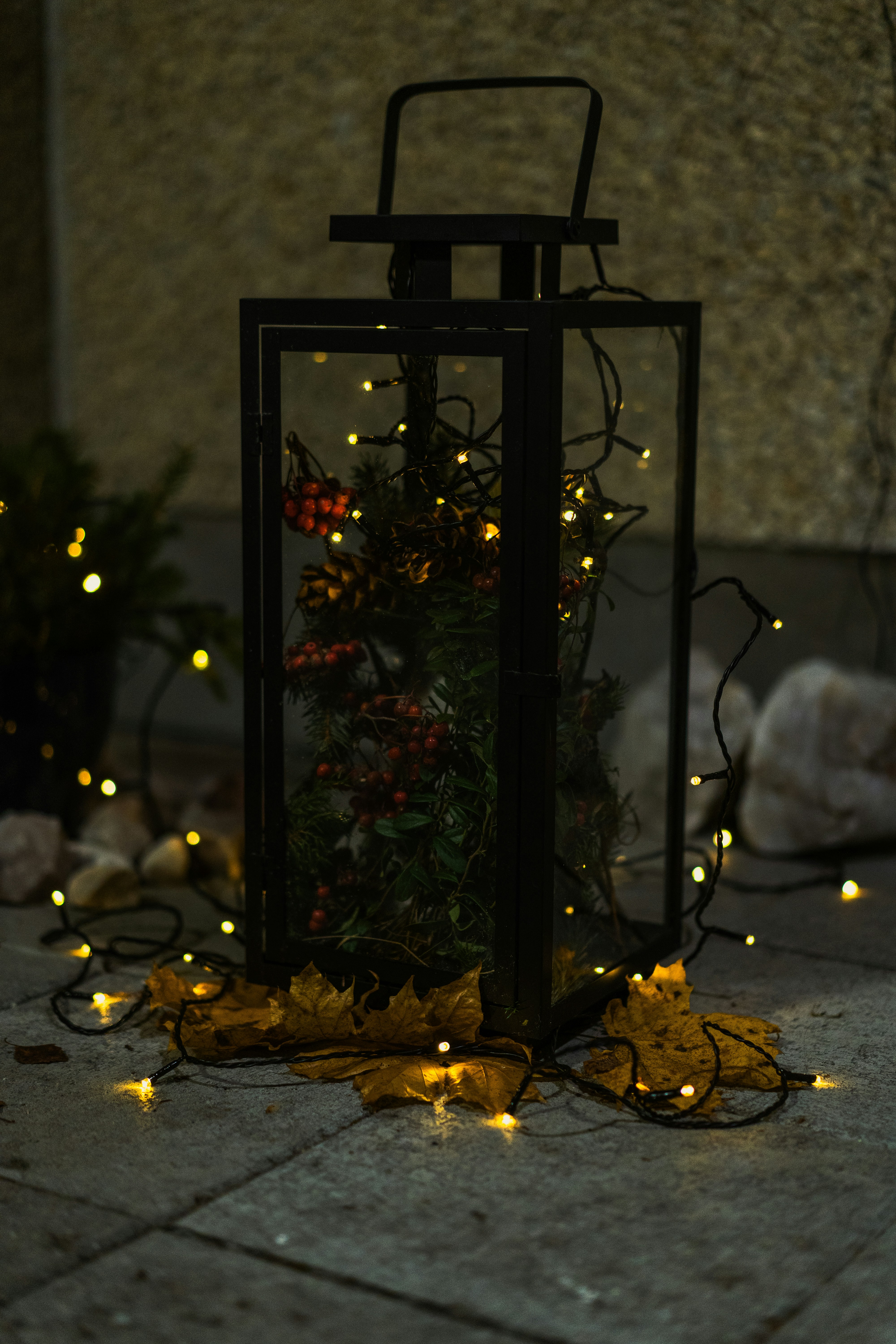 Lantern Garden Echo: A Cozy Night Inside a Glass Frame