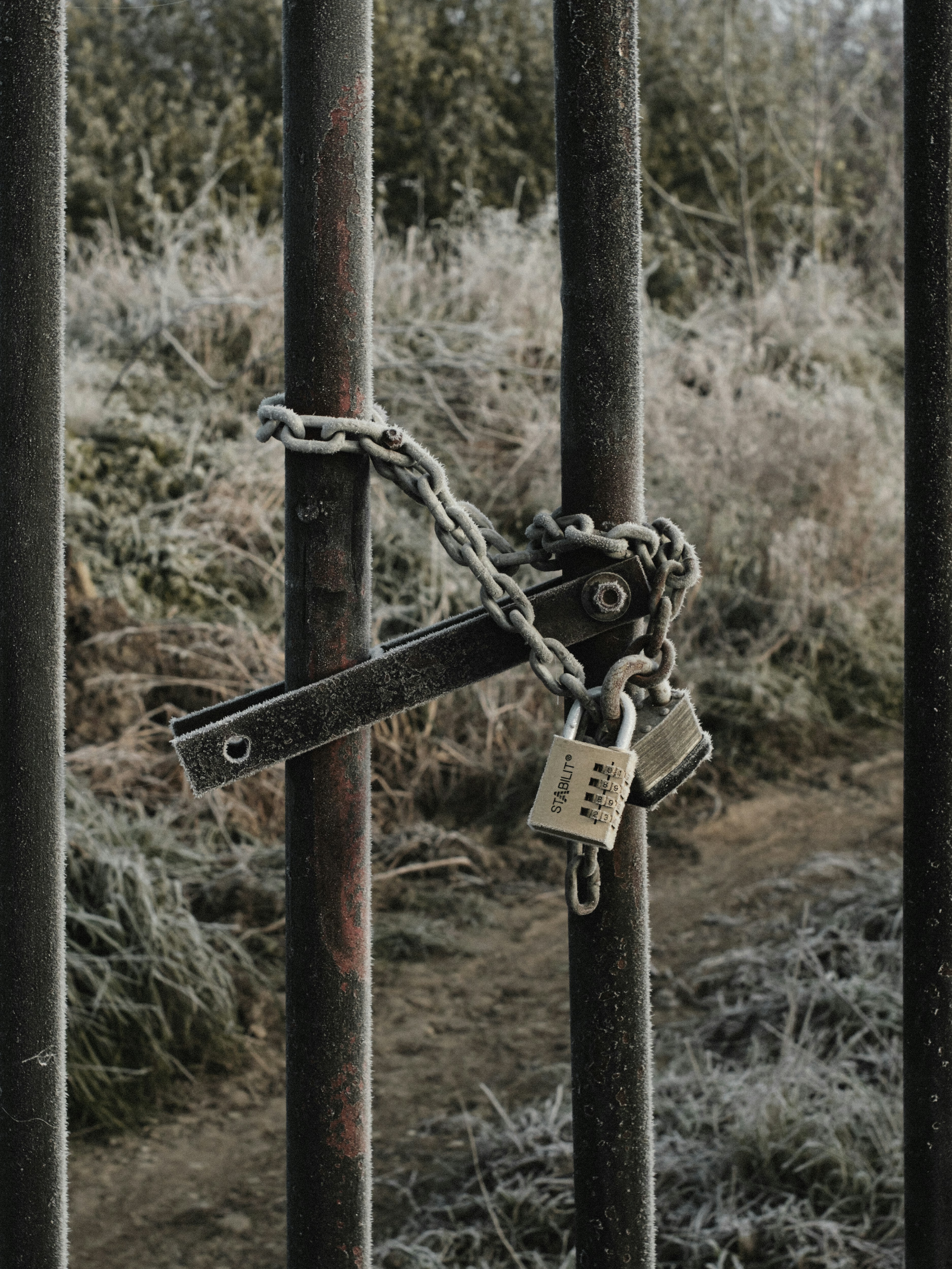 A rusty padlock secured by a chain on a frosted gate, surrounded by a winter landscape. The scene conveys a sense of stillness and isolation.