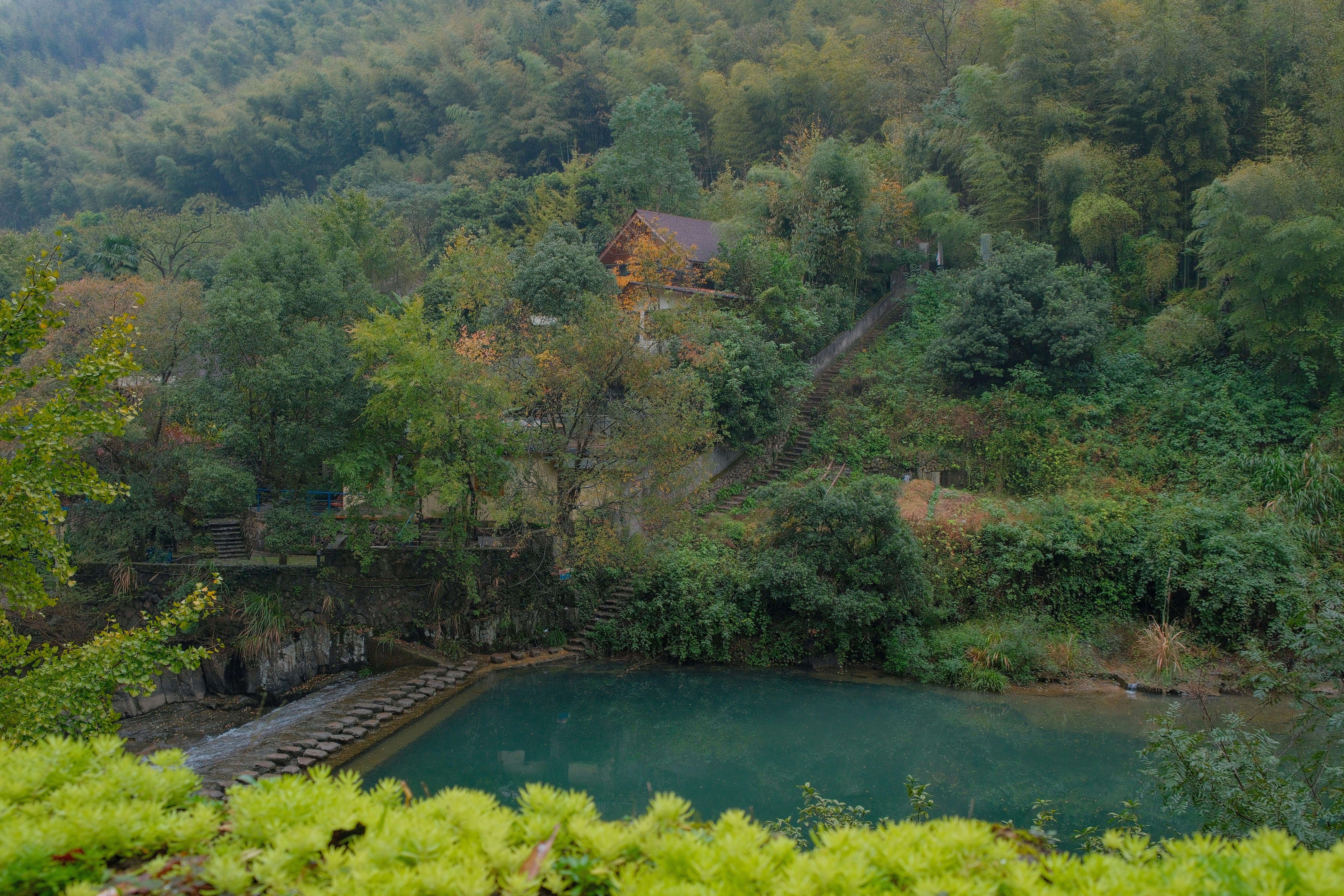 Emerald Basin: a tranquil pool tucked into a hillside garden