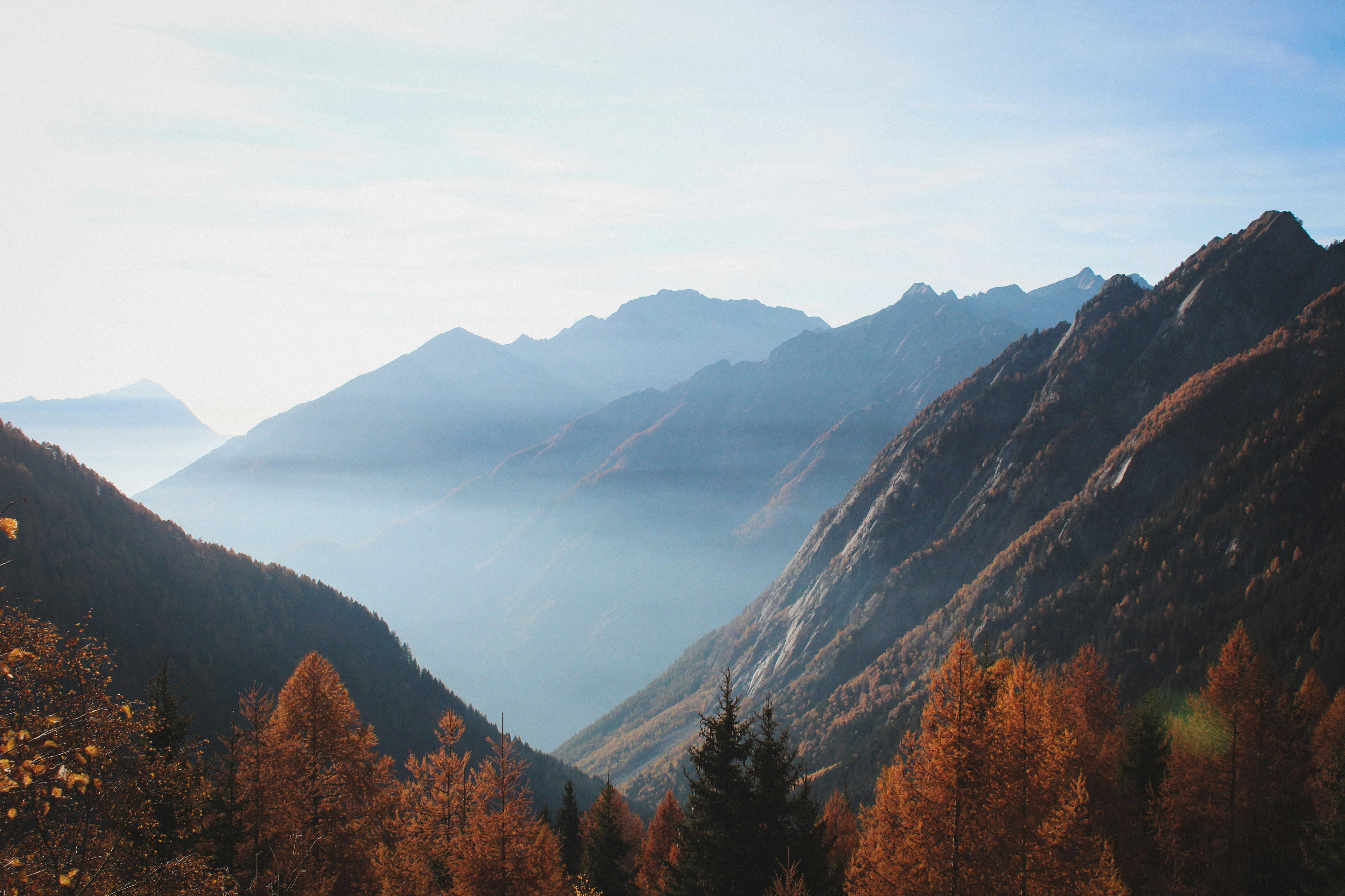 Mountain range shrouded in mist with autumn-colored trees in the foreground.