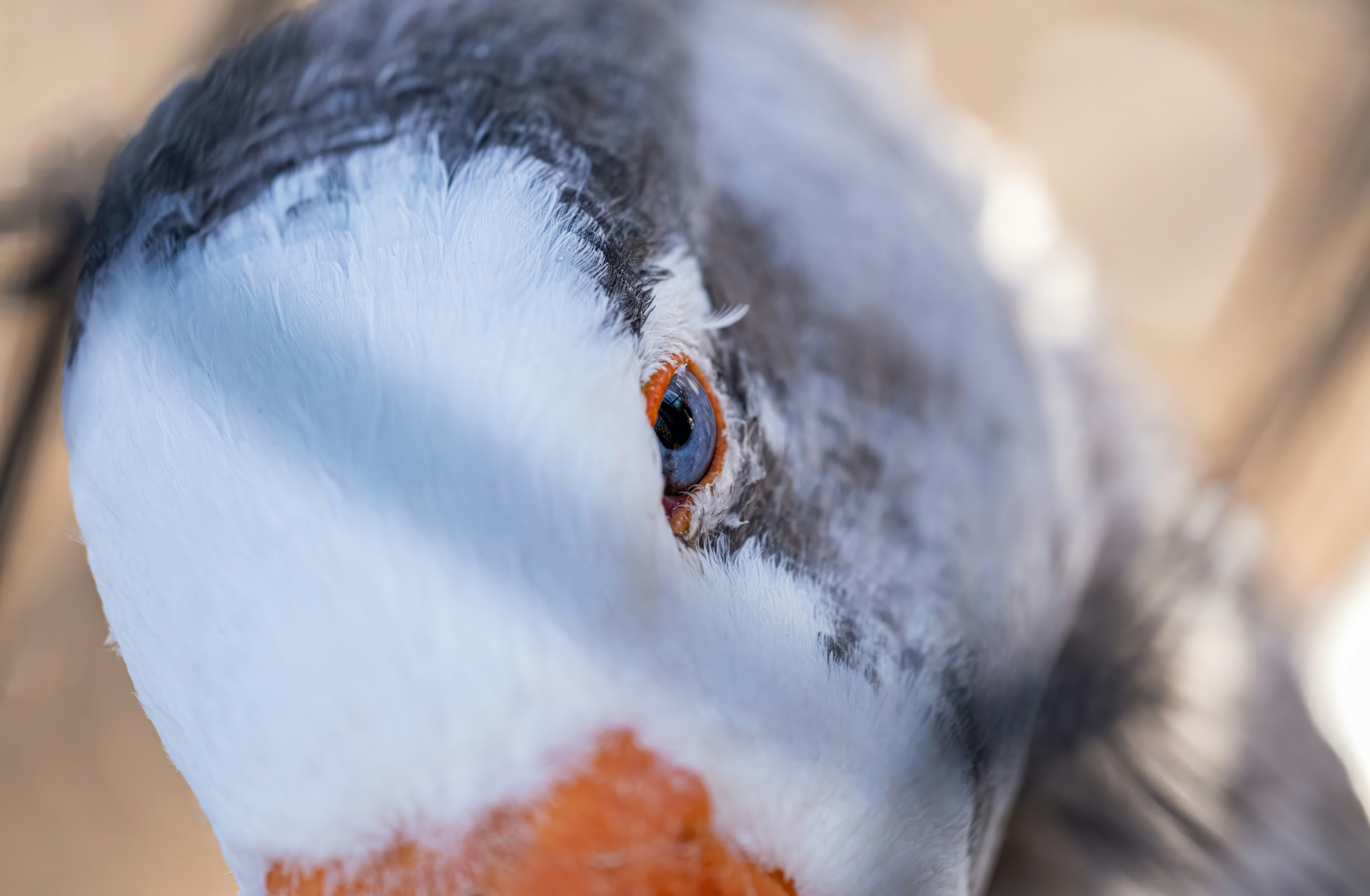 Photo by Alexandre Daoust with Fujifilm X-T5