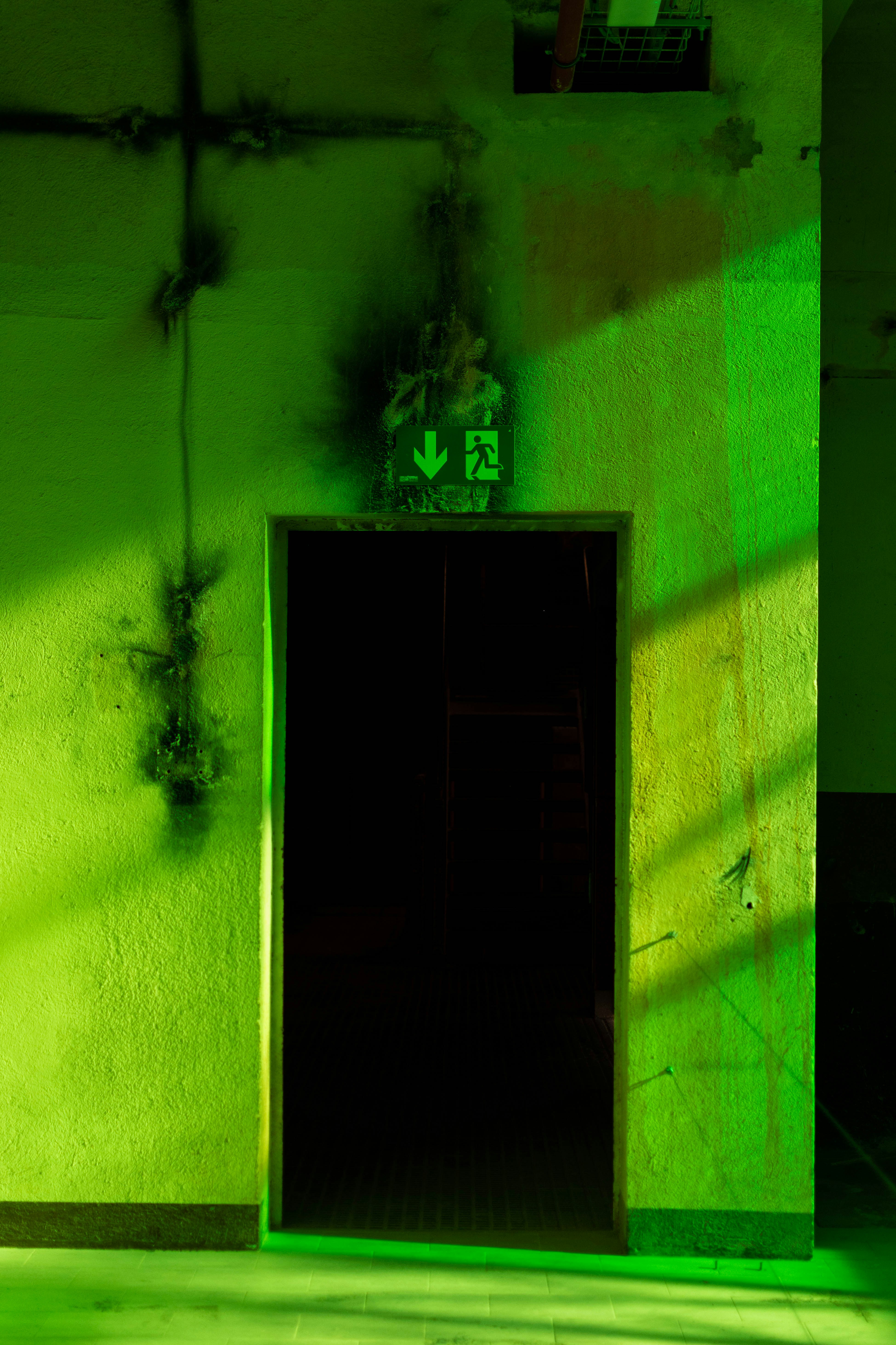 Emerald Threshold: Green Light Cascades Across a Desolate Corridor