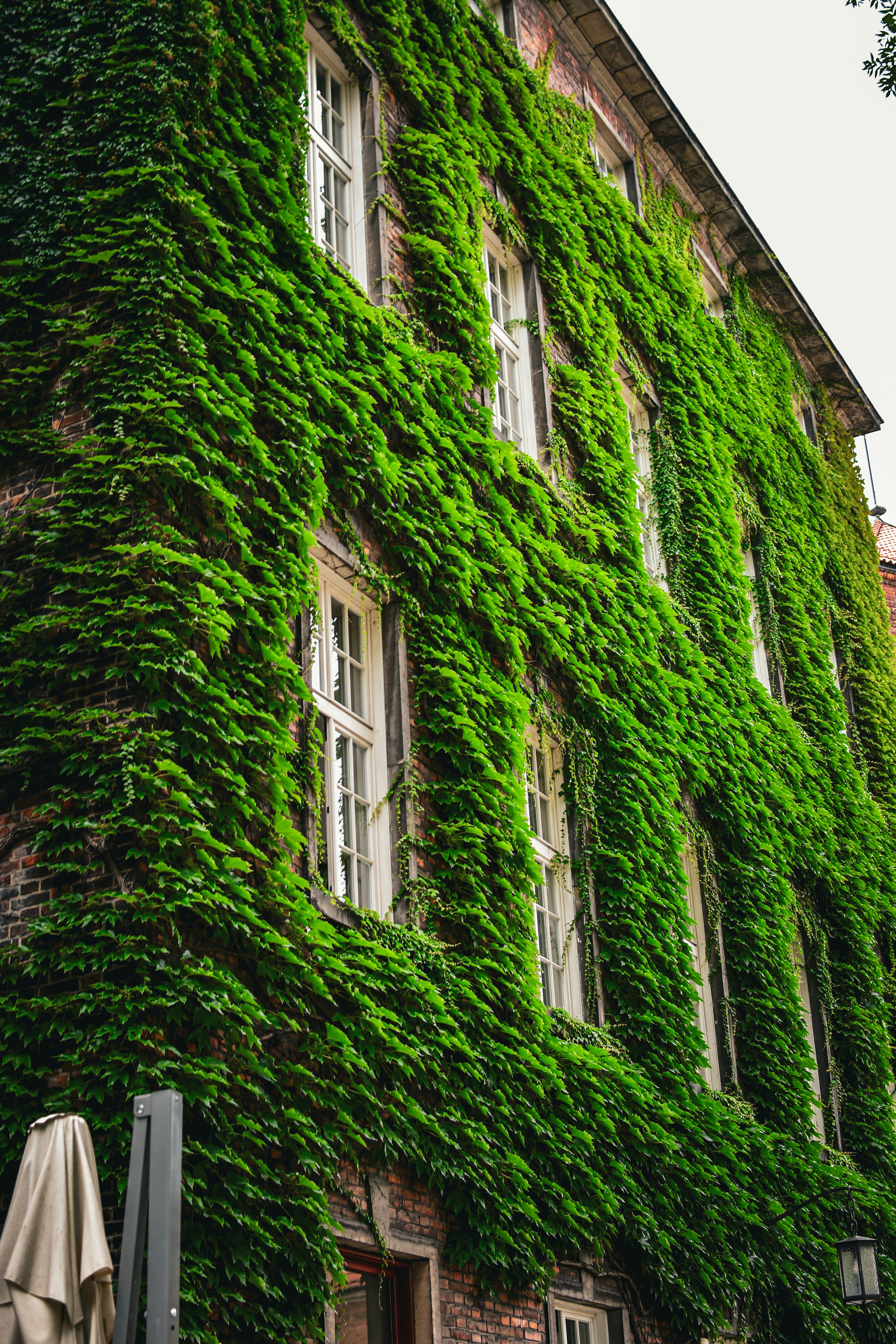 A Moss covered building within the grounds of Wawel Royal Castle