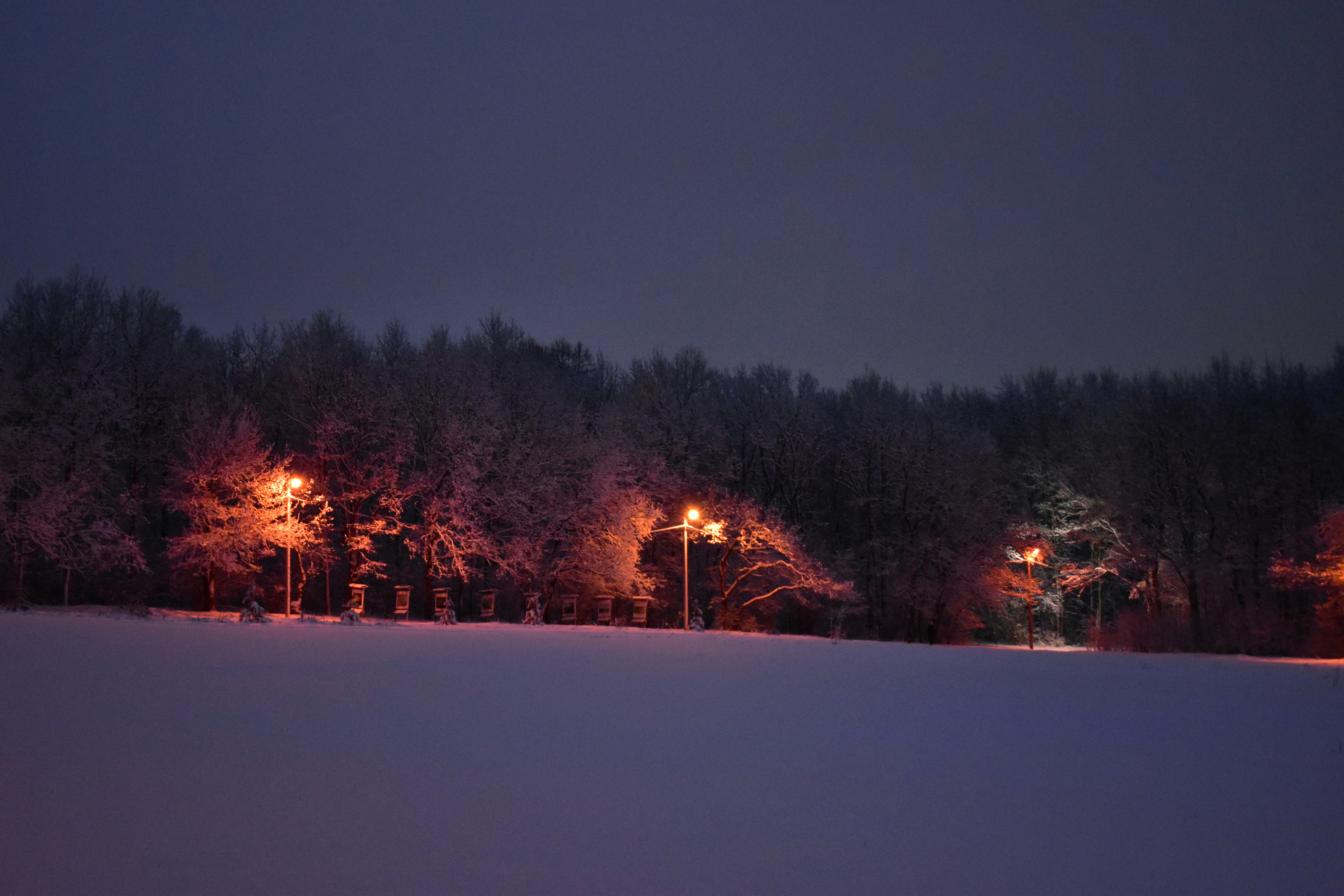 Snow-covered landscape illuminated by streetlights, casting a warm glow on frosted trees at dusk.