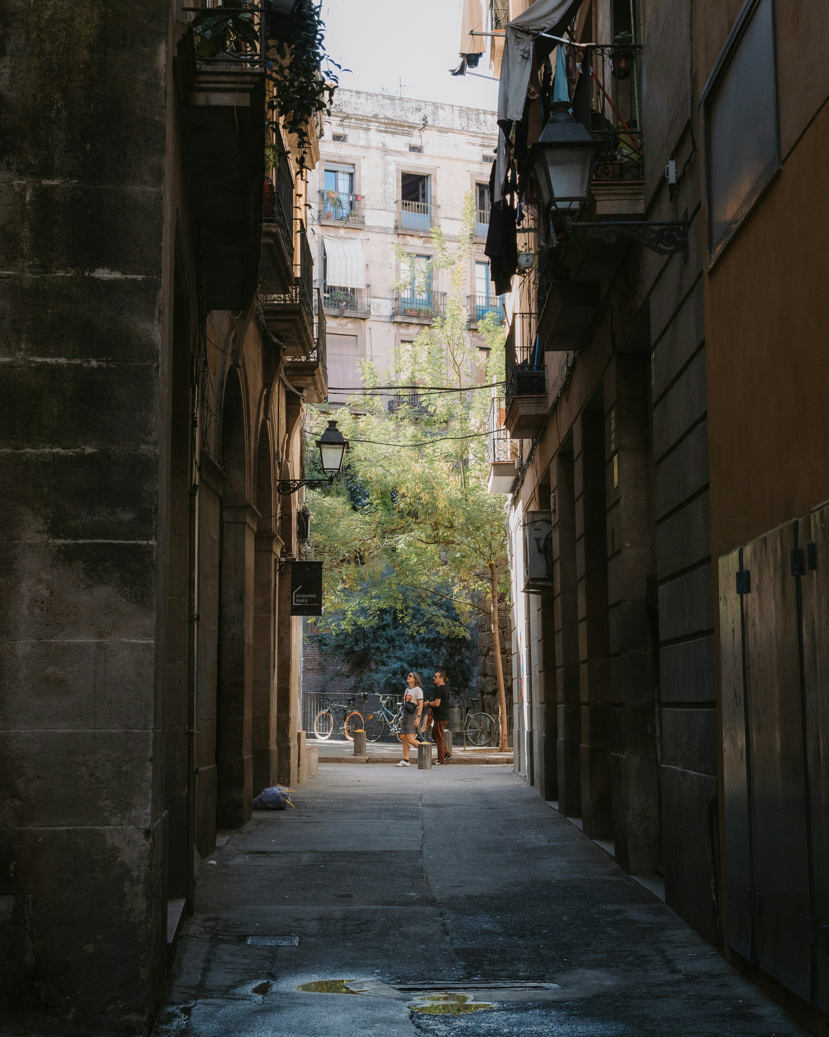 End-of-Alley Encounter in Warm City Light
