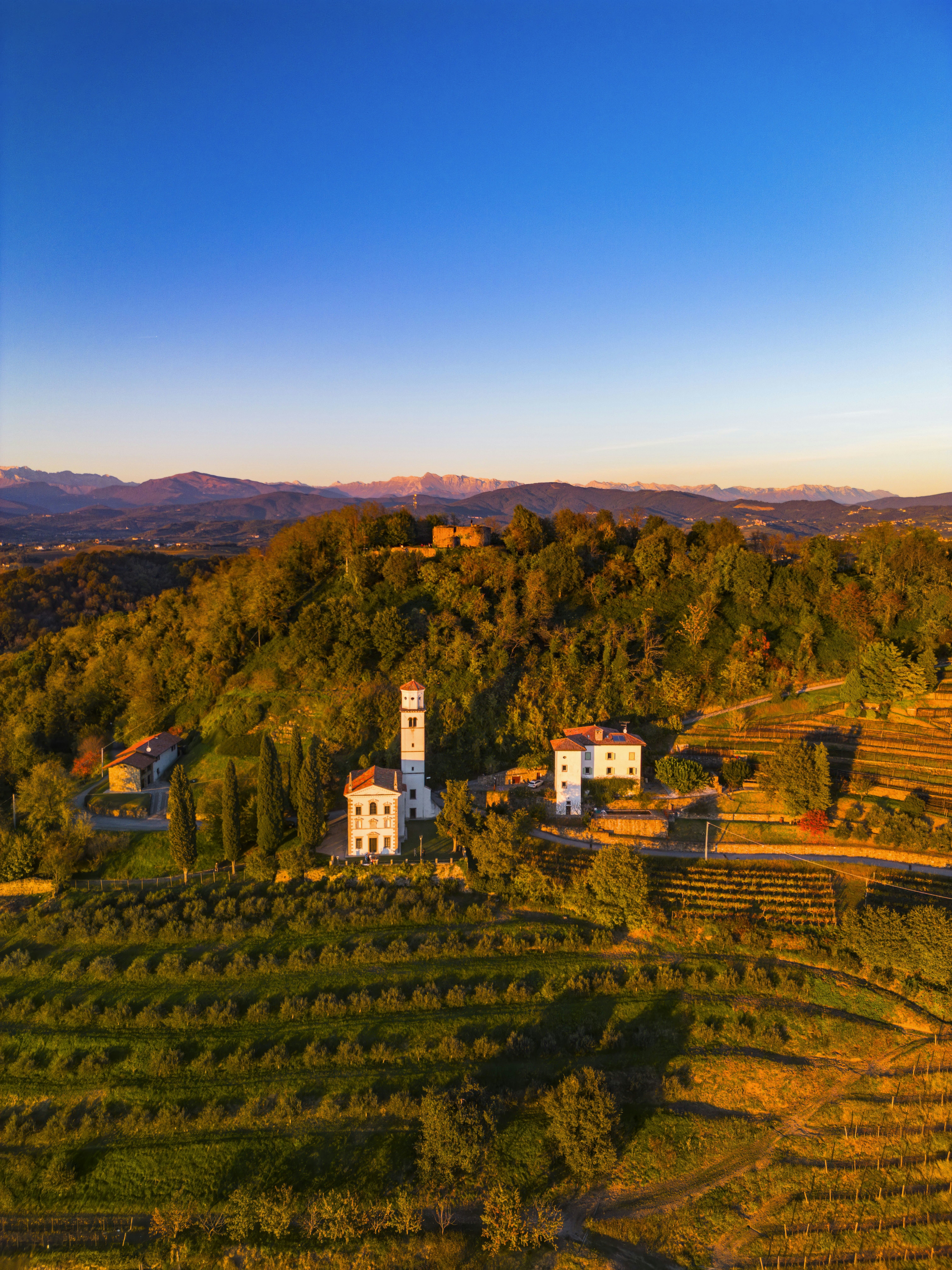 An aerial view of a small village surrounded by trees