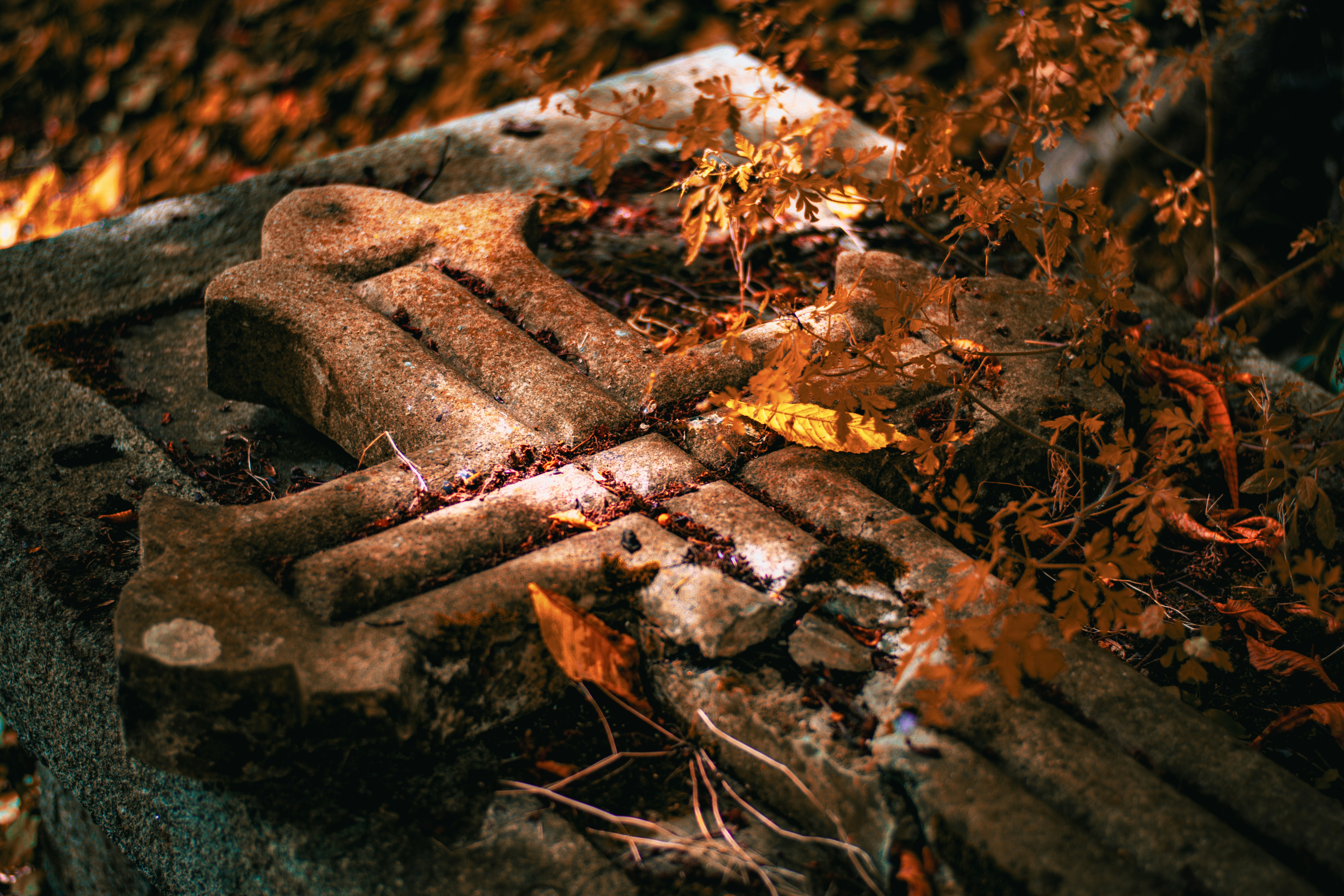 Eddy Shor (@eddyshor29) | Comunidade de fotos da Unsplash