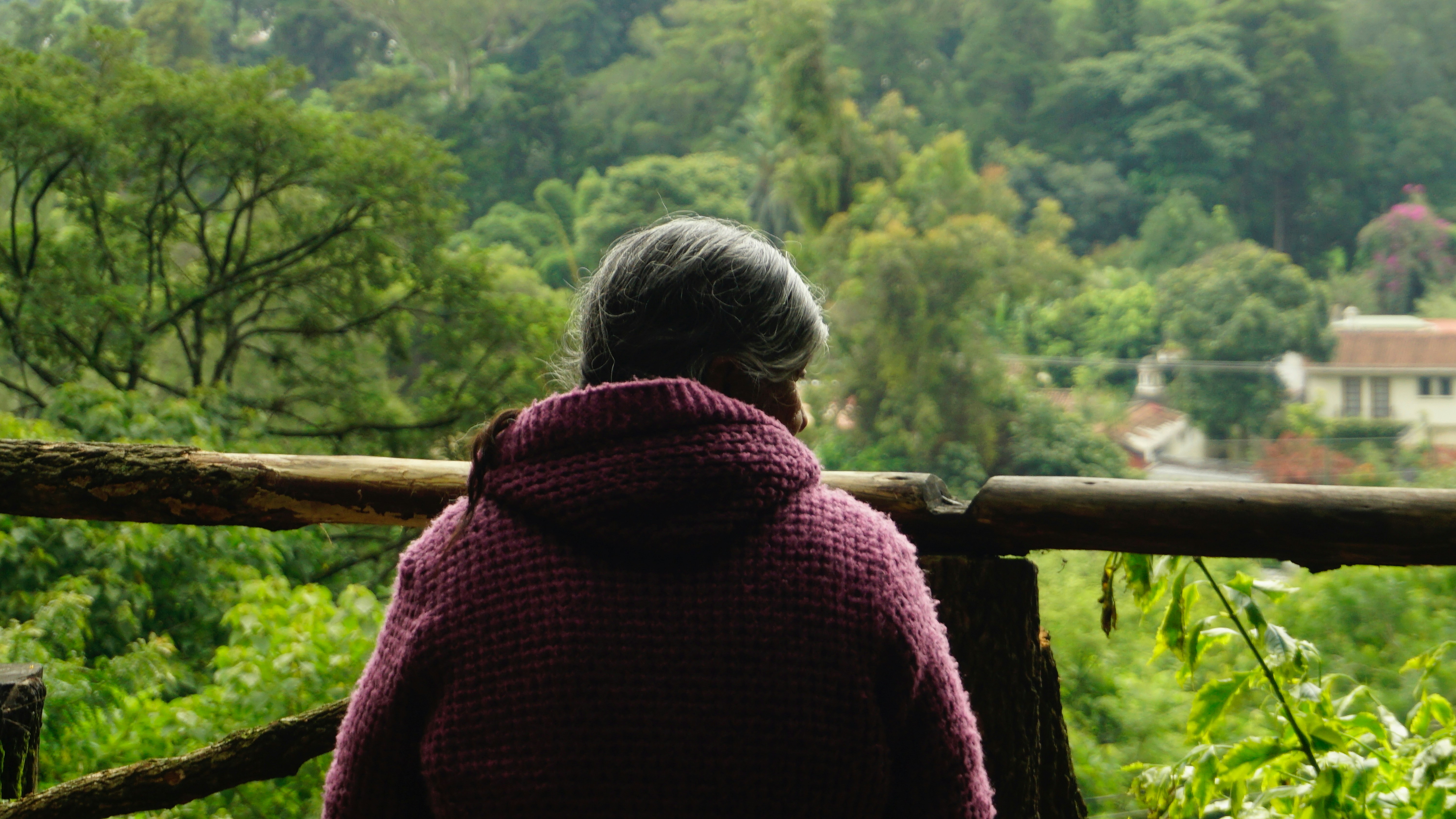 Serenity Overlooking Verdant Heights