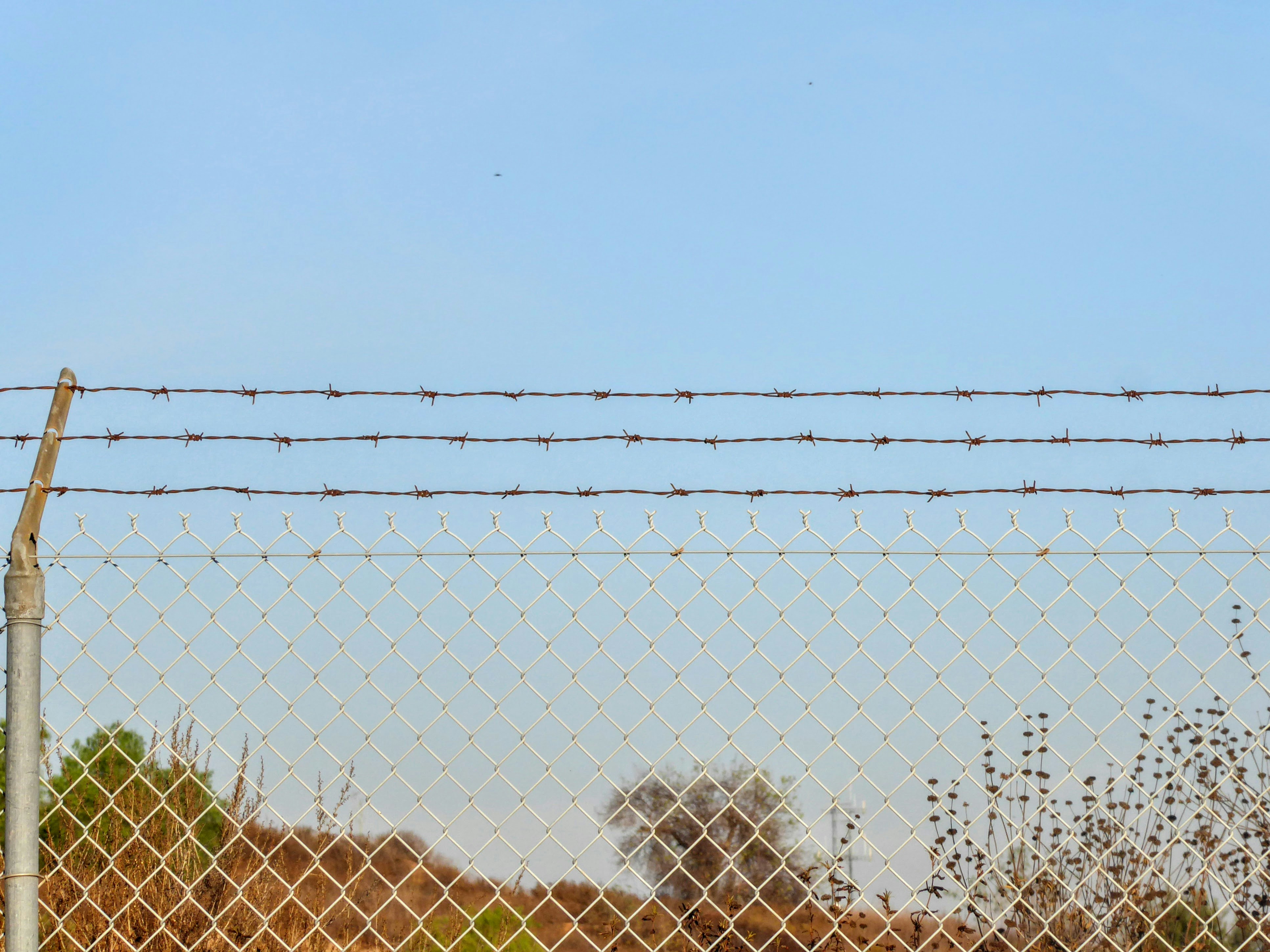 Barbed Boundary Beneath a Cerulean Sky