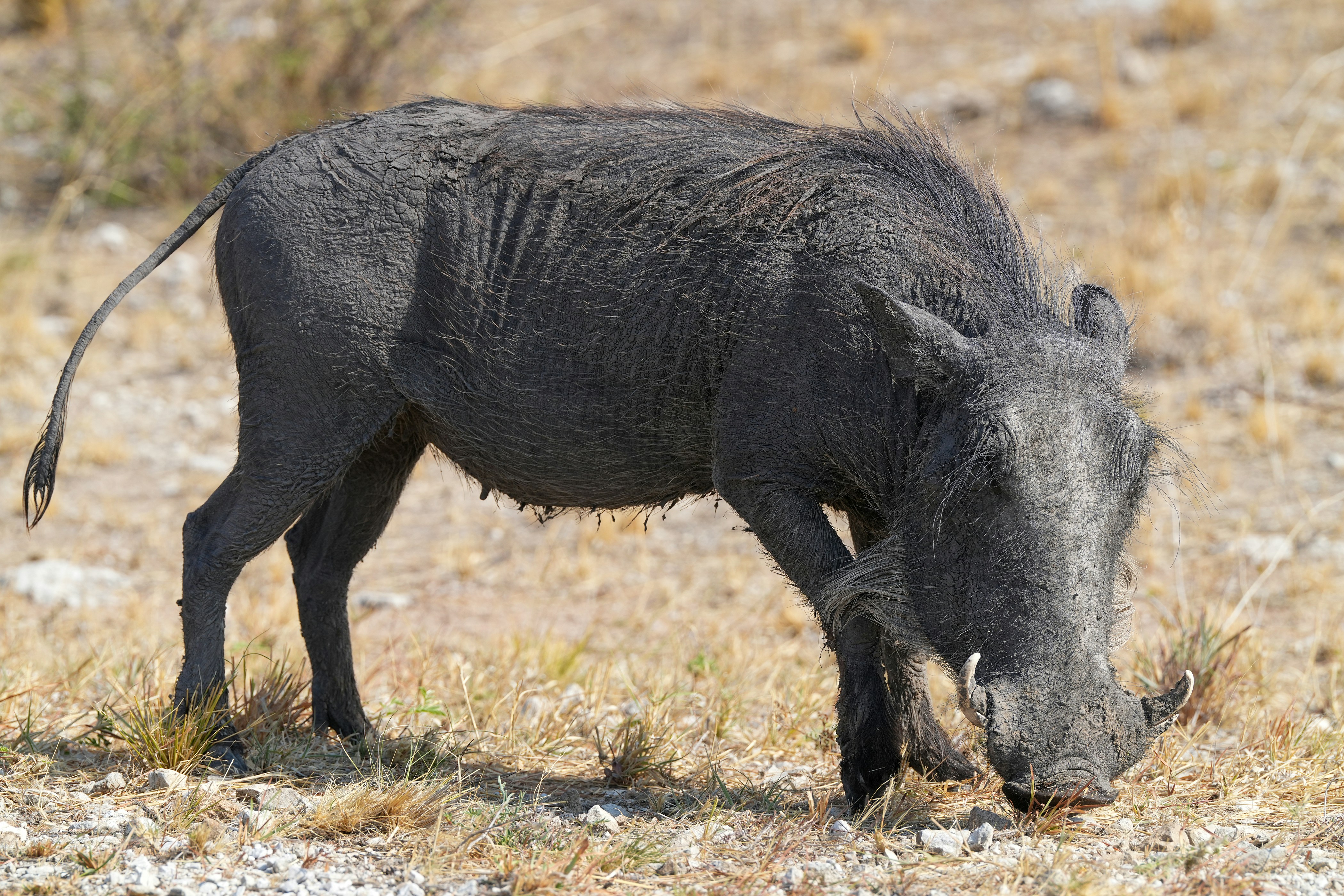 Photo by Markus Kammermann with Sony Alpha 7R V