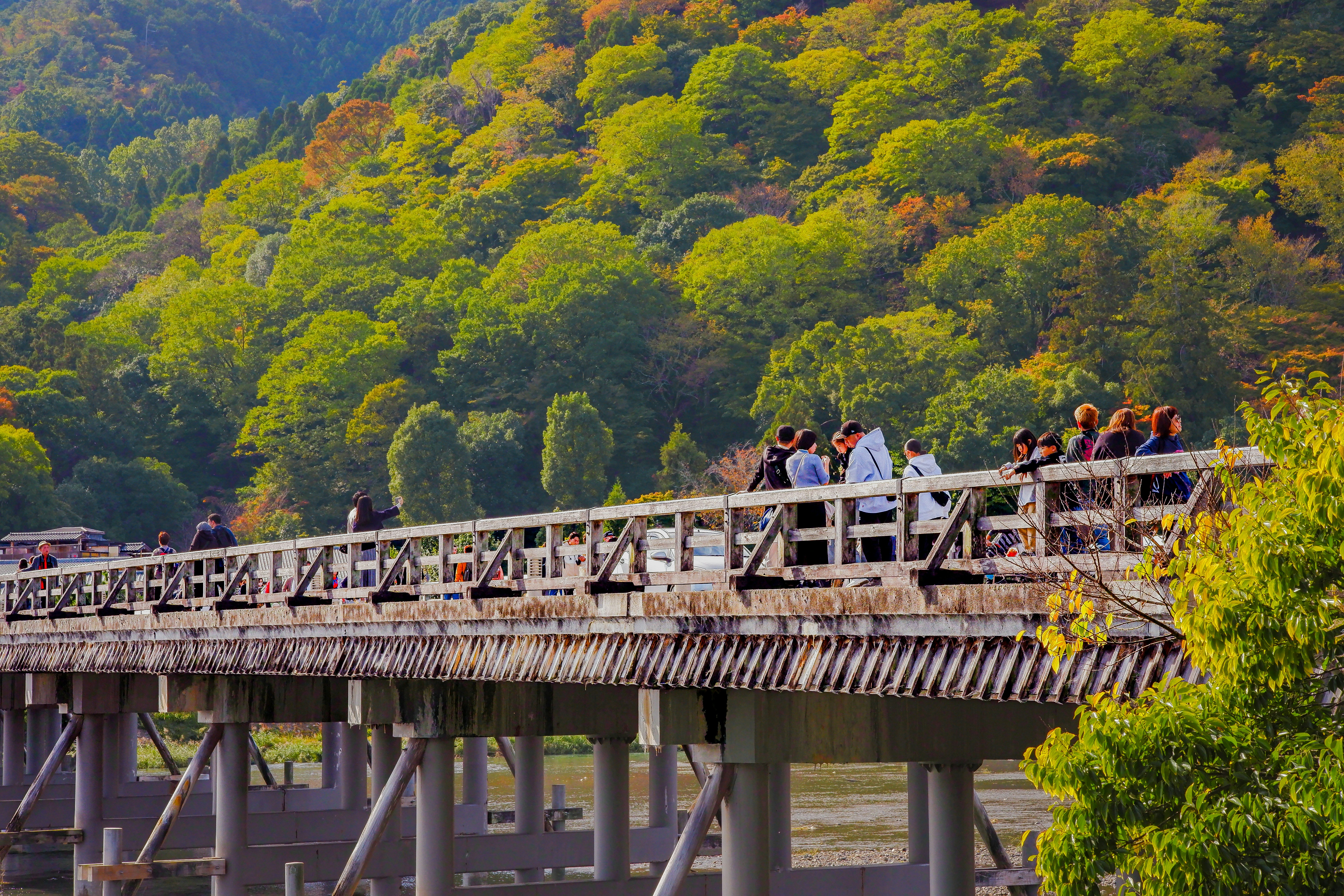 A group of people walking across a bridge photo – Free Forest Image on ...