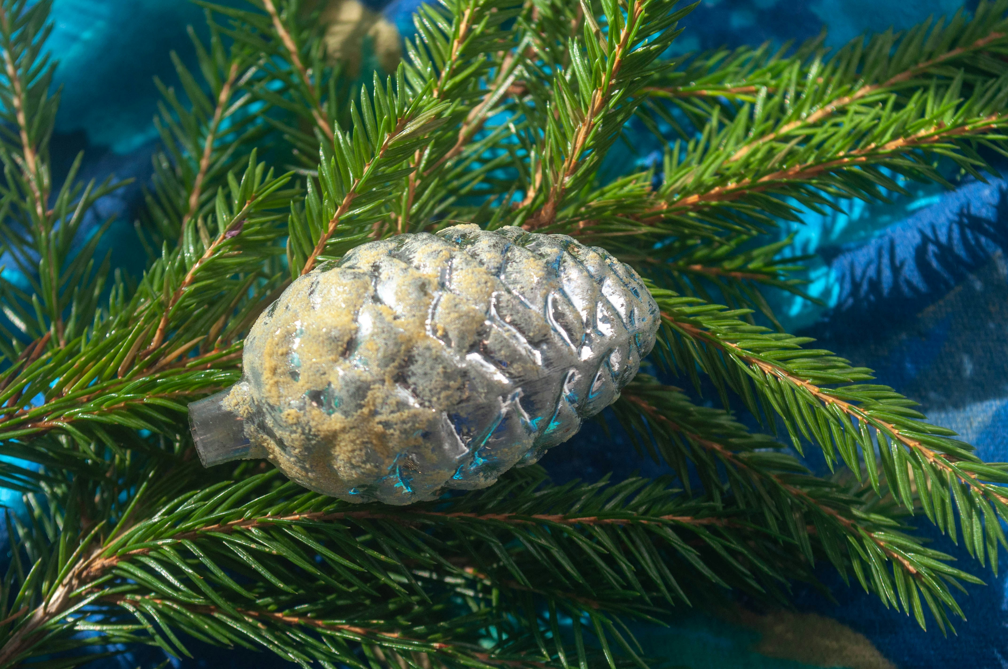 Weathered Pinecone Among Emerald Needles on a Cobalt Backdrop