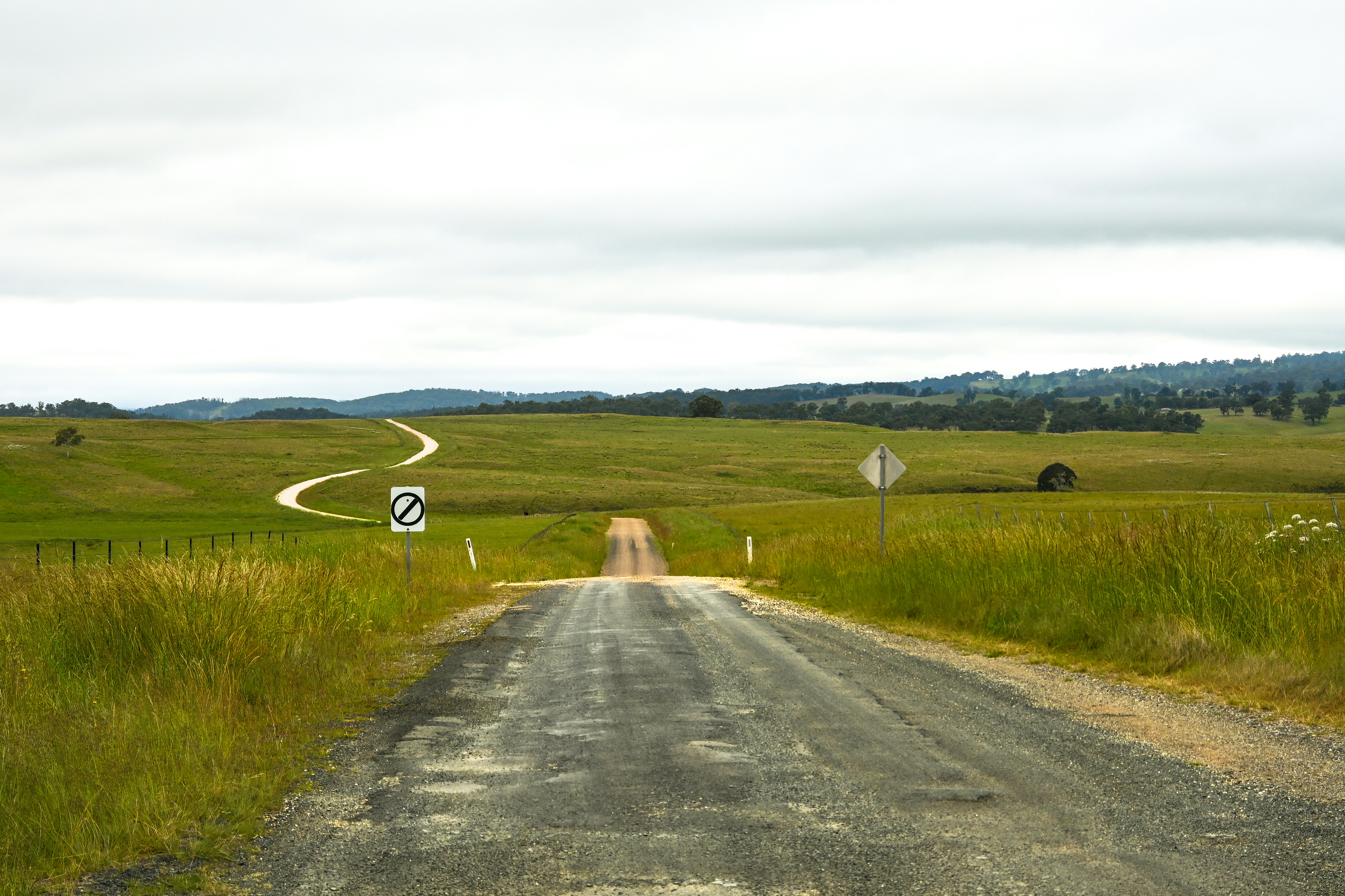 A dirt road in the middle of a grassy field photo – Free New south ...