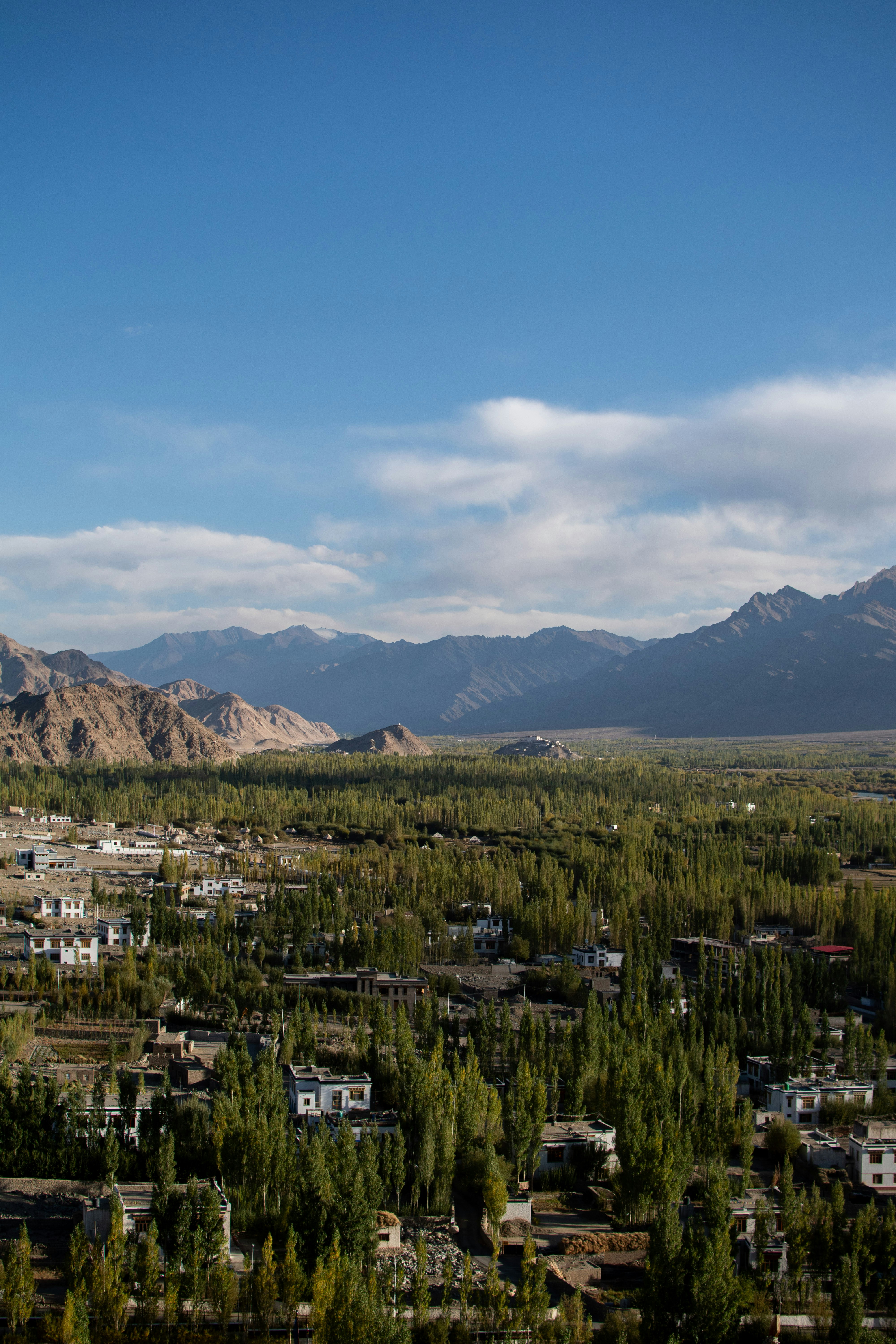 Alpine Ridge Over a Verdant Valley Town
