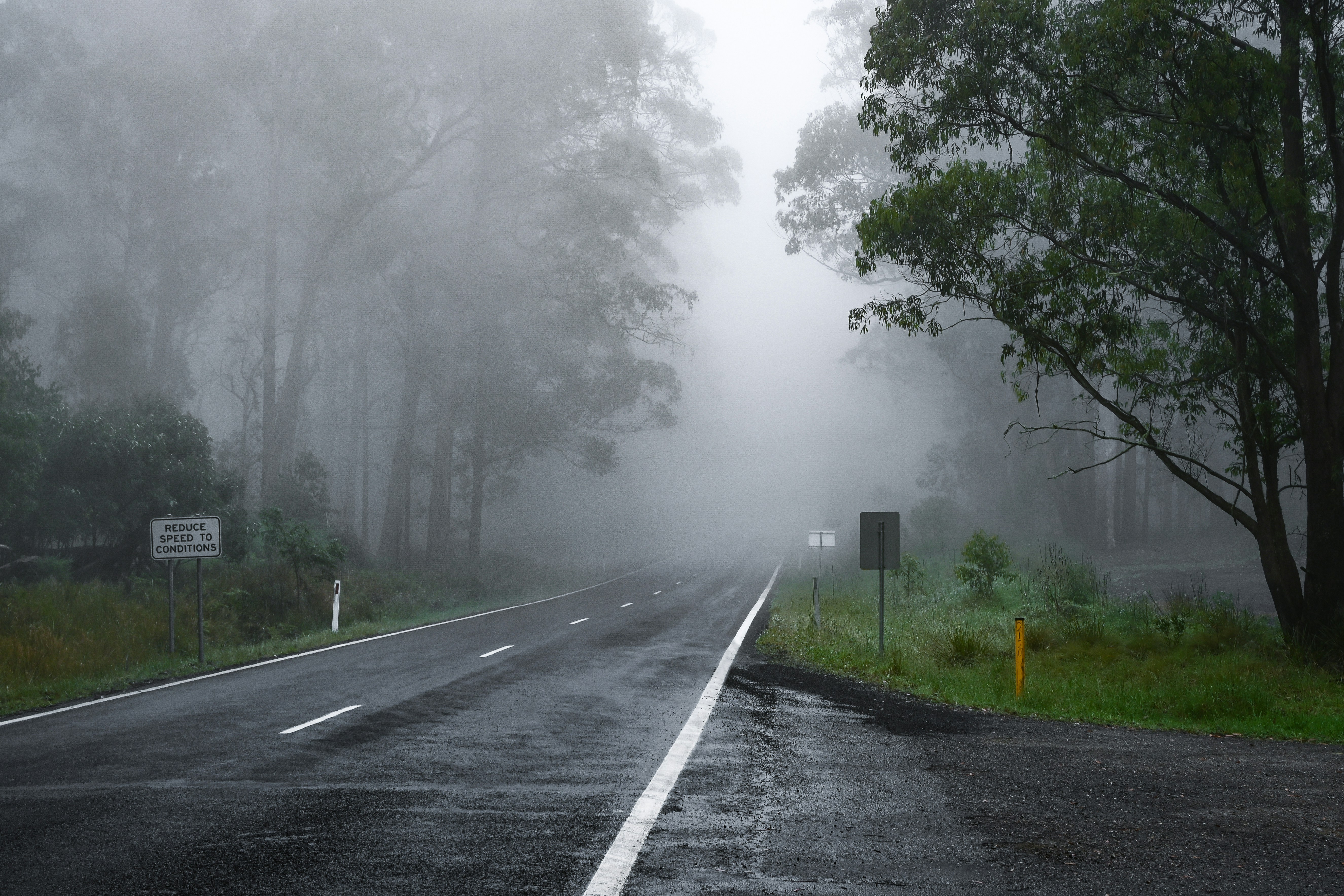 A wet, fog-blanketed rural road stretches toward a distant vanishing point as trees fade into the damp gray mist. This photograph emphasizes the quiet atmosphere and the reflective, rain-slick pavement.