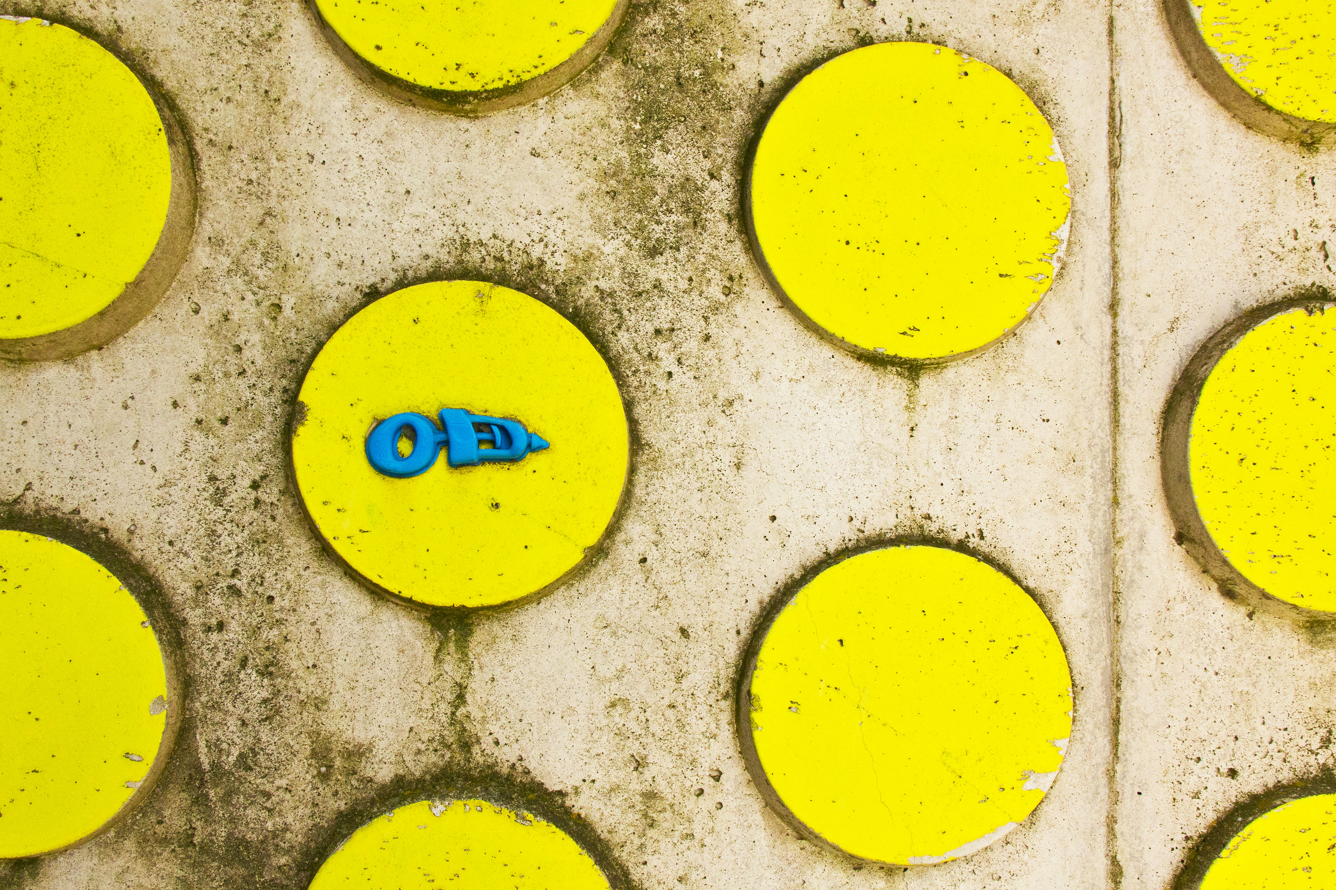 Blue OD on a Sea of Neon Yellow Caps: A Patterned Macro Moment