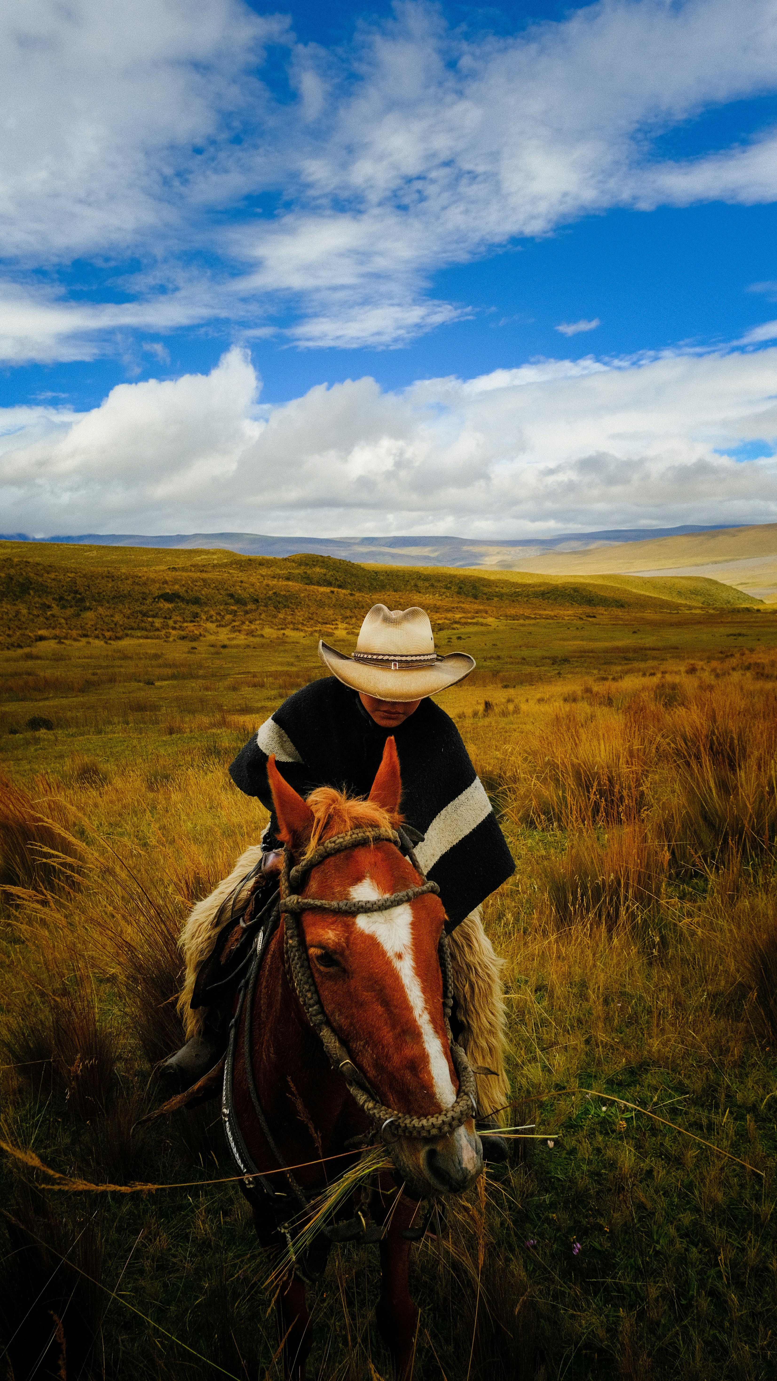 Dust and Dawn: A Cowboy and Horse Across the Prairie