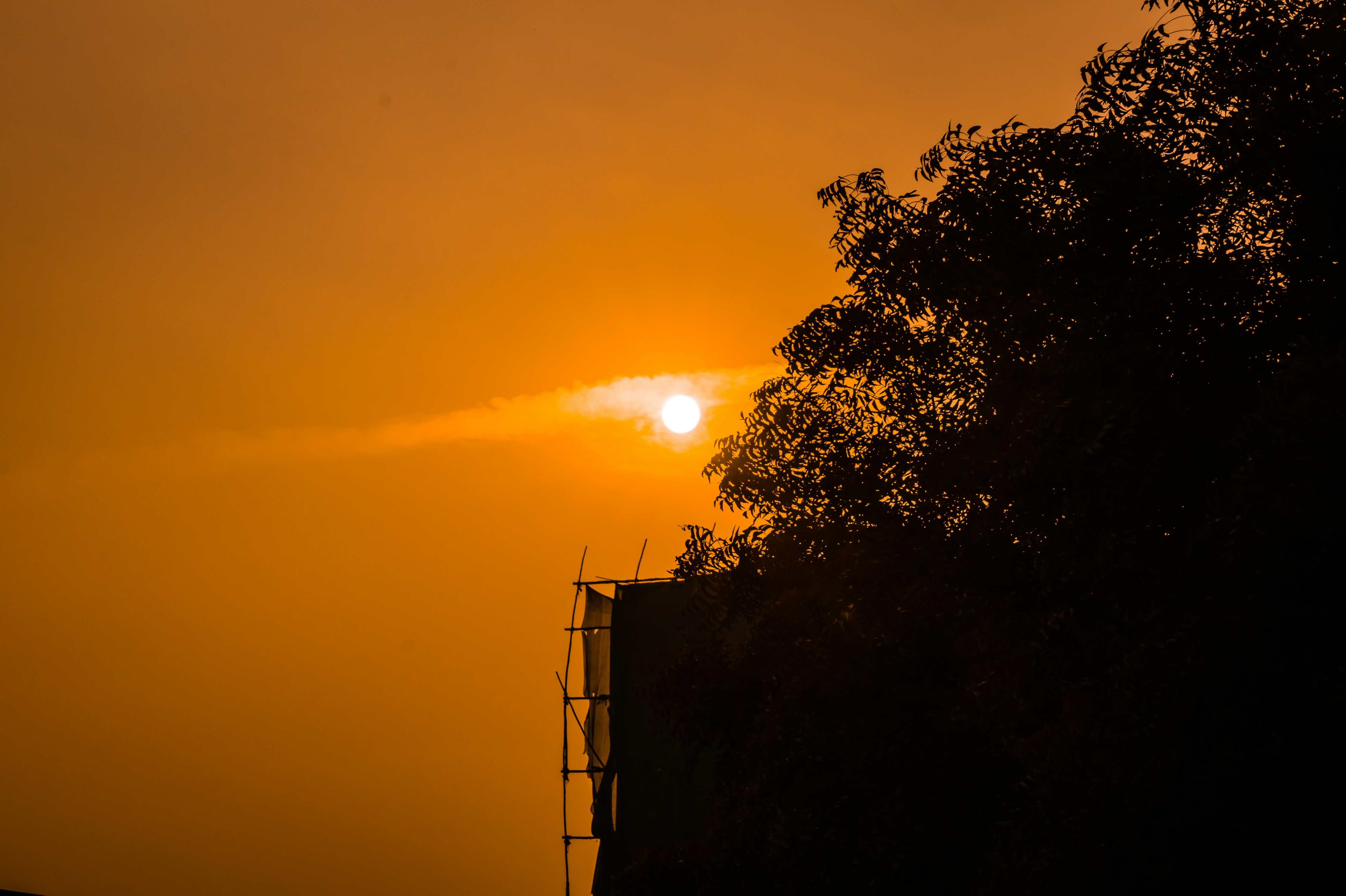 Photo by Harshith Suresh Kumar with Sony Alpha 58