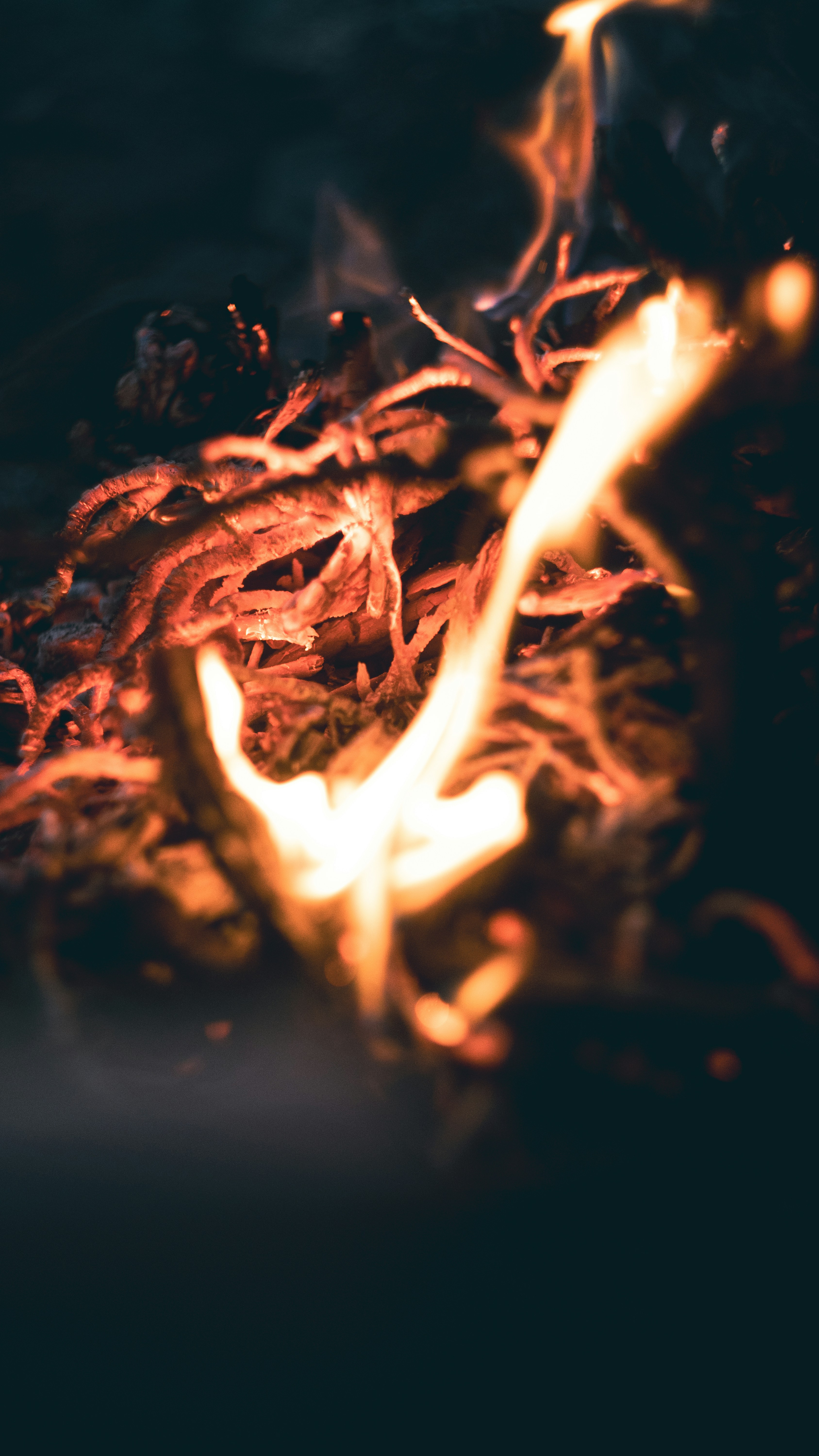 A close up of a fire in the dark photo – Free Fire Image on Unsplash