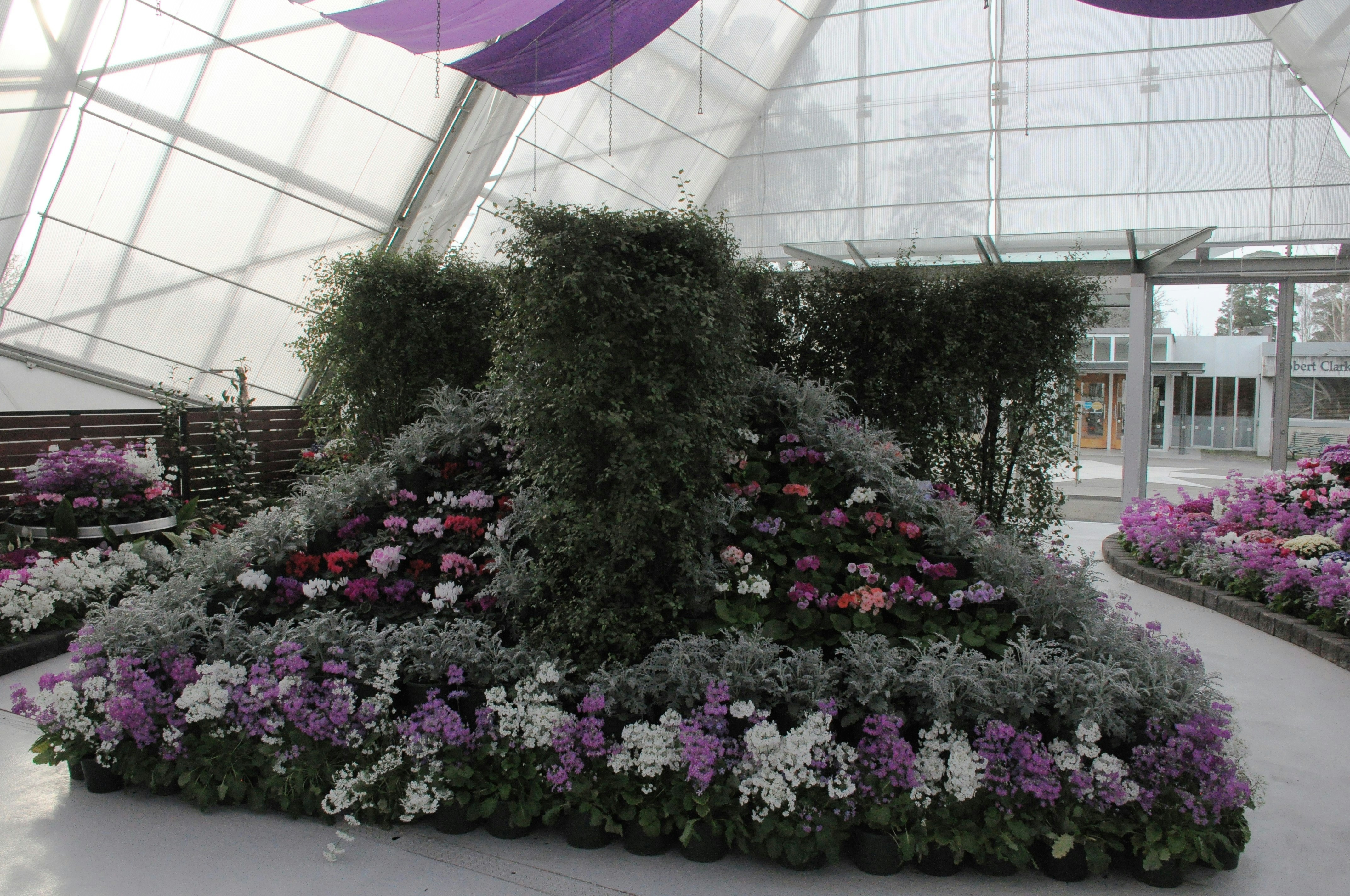 Architectural Floral Dome: A Central Garden Crowned by Verdant Topiary