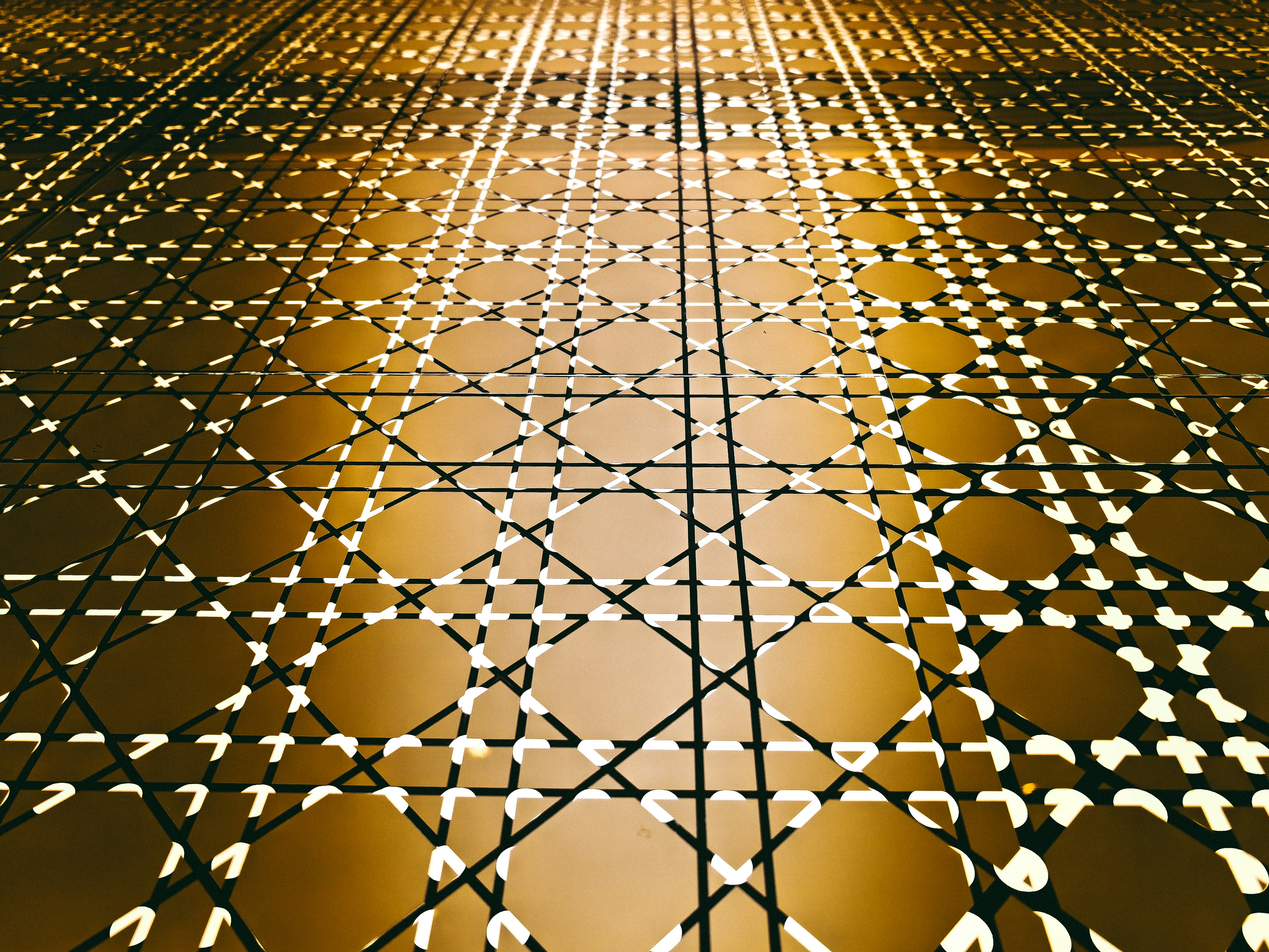 Golden Lattice Convergence: Circles and Lines in Perspective