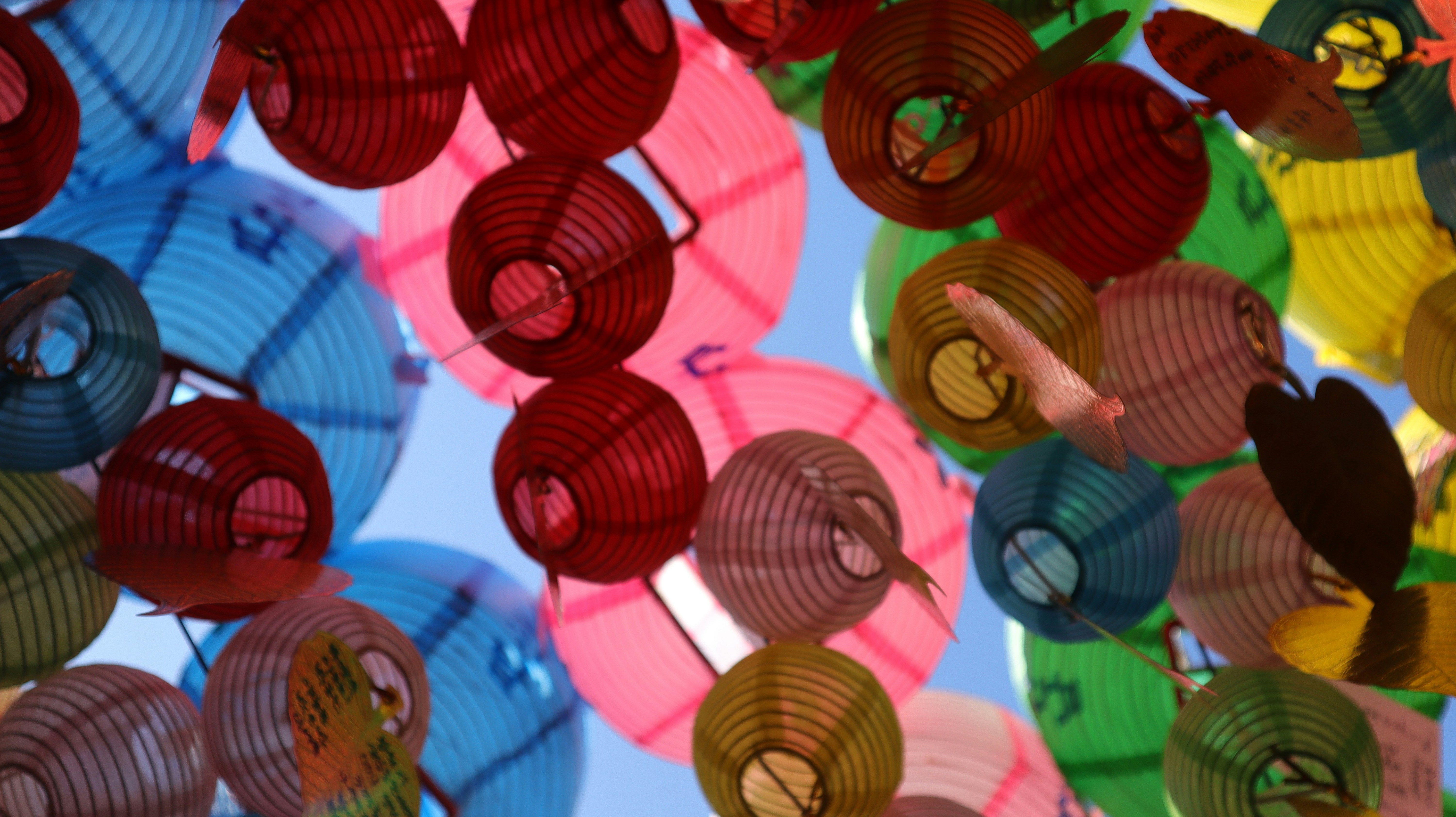 Hand Reaches Through a Rainbow Sea of Floating Lanterns