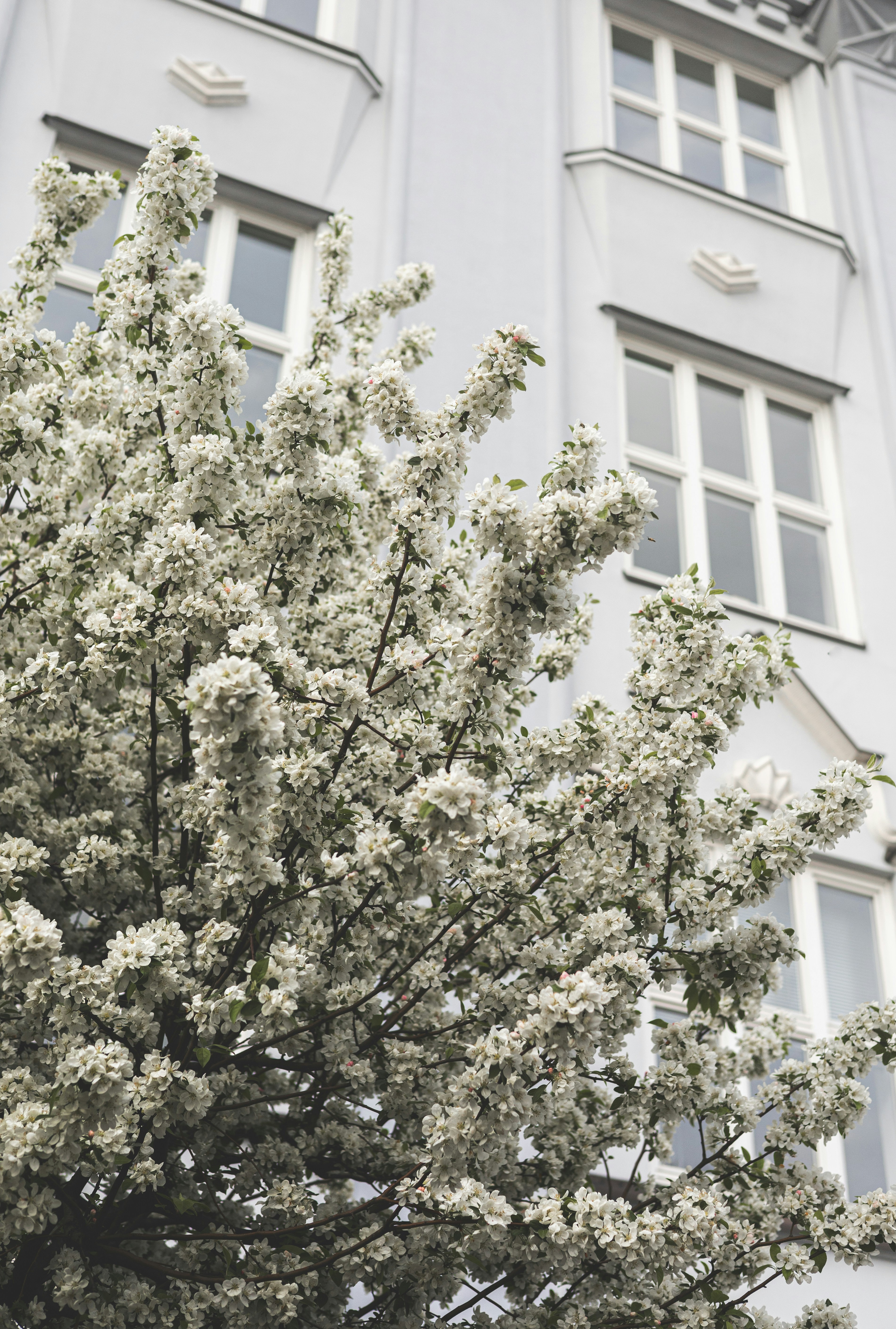 Andreas Haslinger (@andreas_haslinger) | Unsplash Photo Community