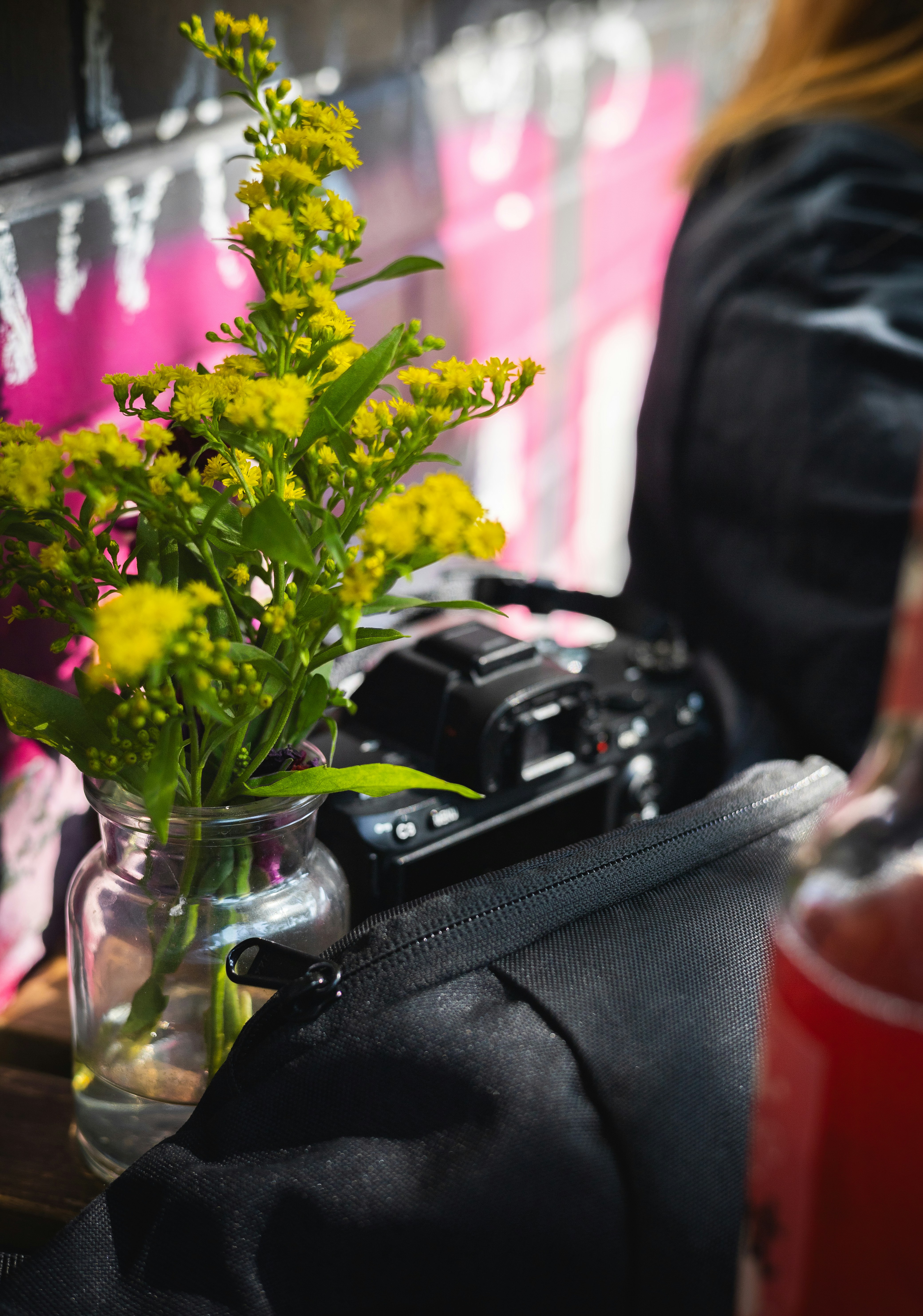 Andreas Haslinger (@andreas_haslinger) | Unsplash Photo Community