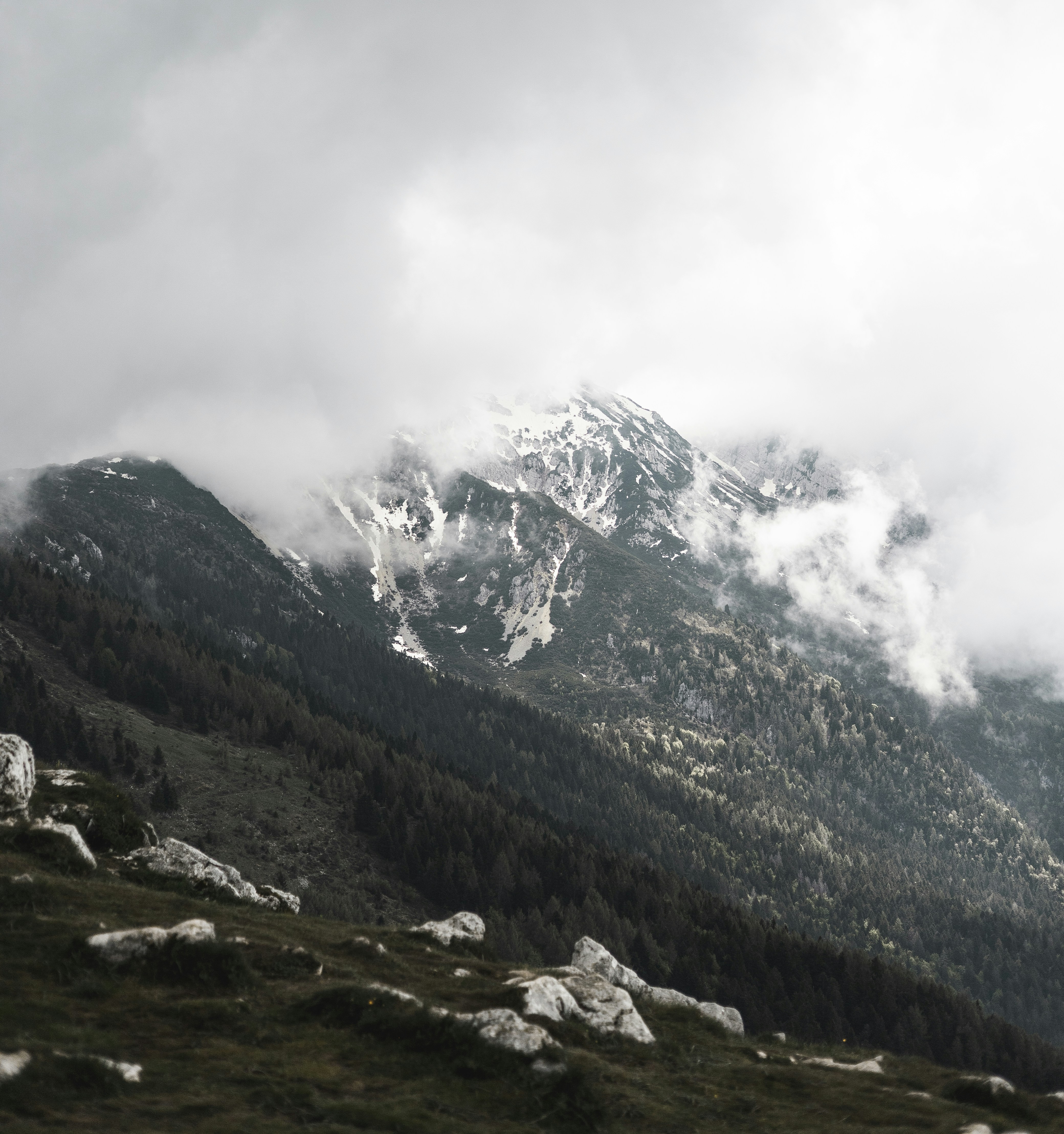 Andreas Haslinger (@andreas_haslinger) | Unsplash Photo Community