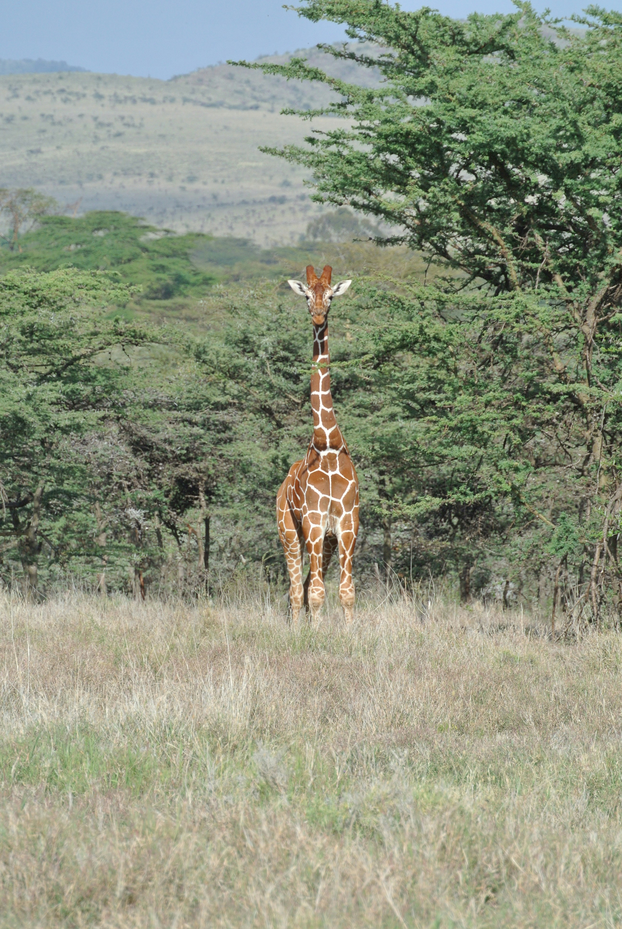 Photo by Women Travel Abroad with Nikon 1 J1