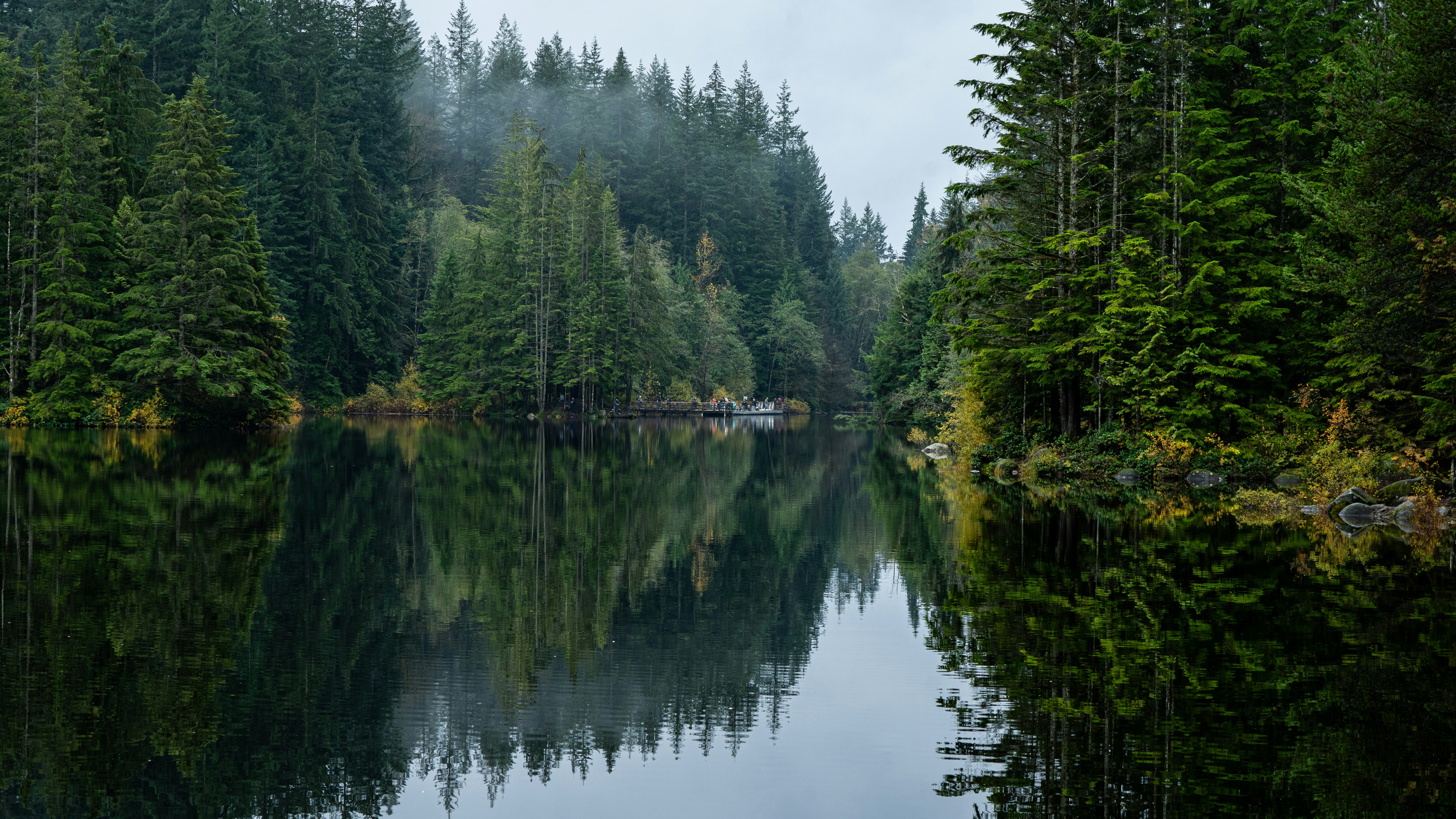 Serene lake surrounded by lush evergreen trees, with a subtle mist hovering above the water's surface. The stillness creates perfect reflections of the landscape.