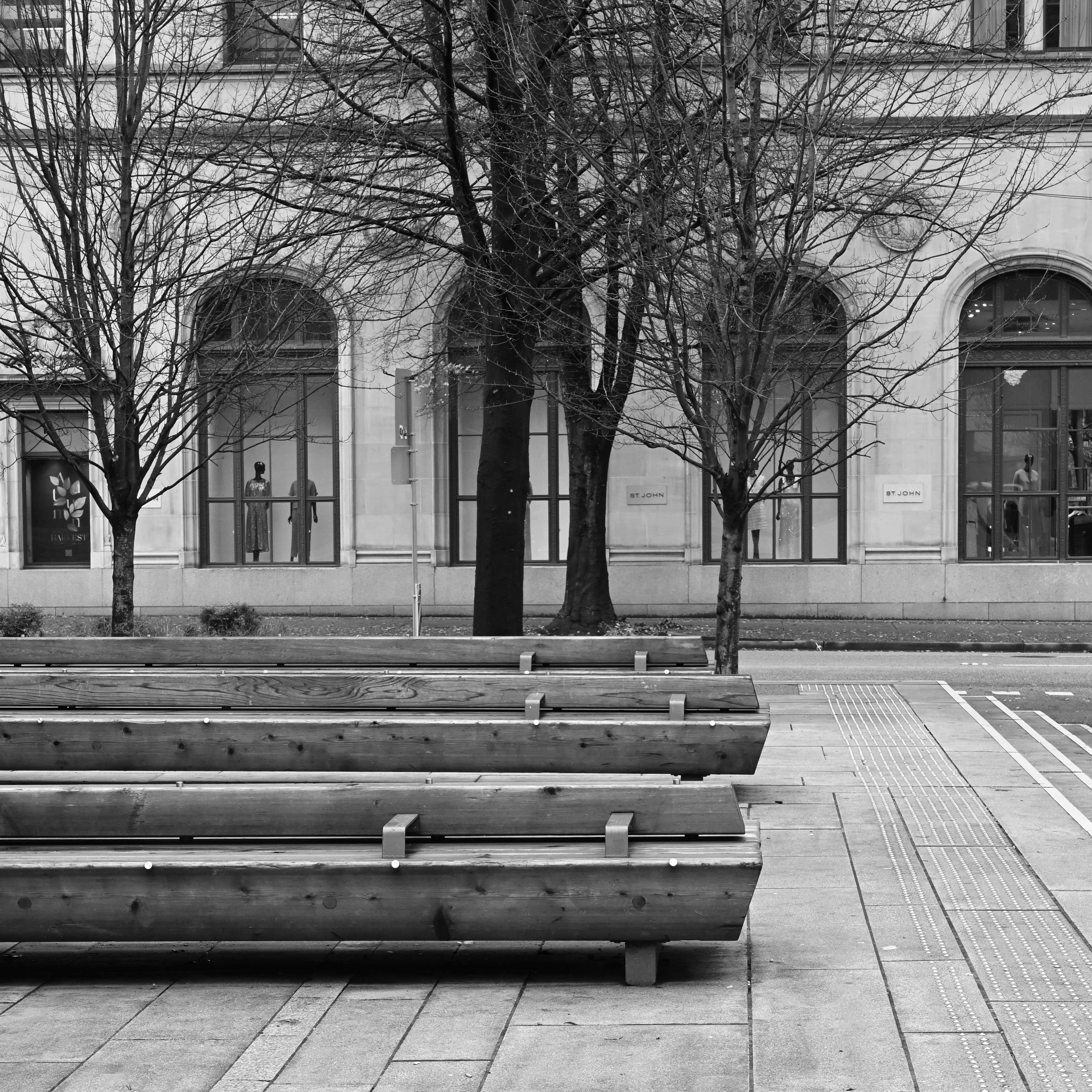 Monochrome Quiet: Parallel Benches Framing a Classical Facade