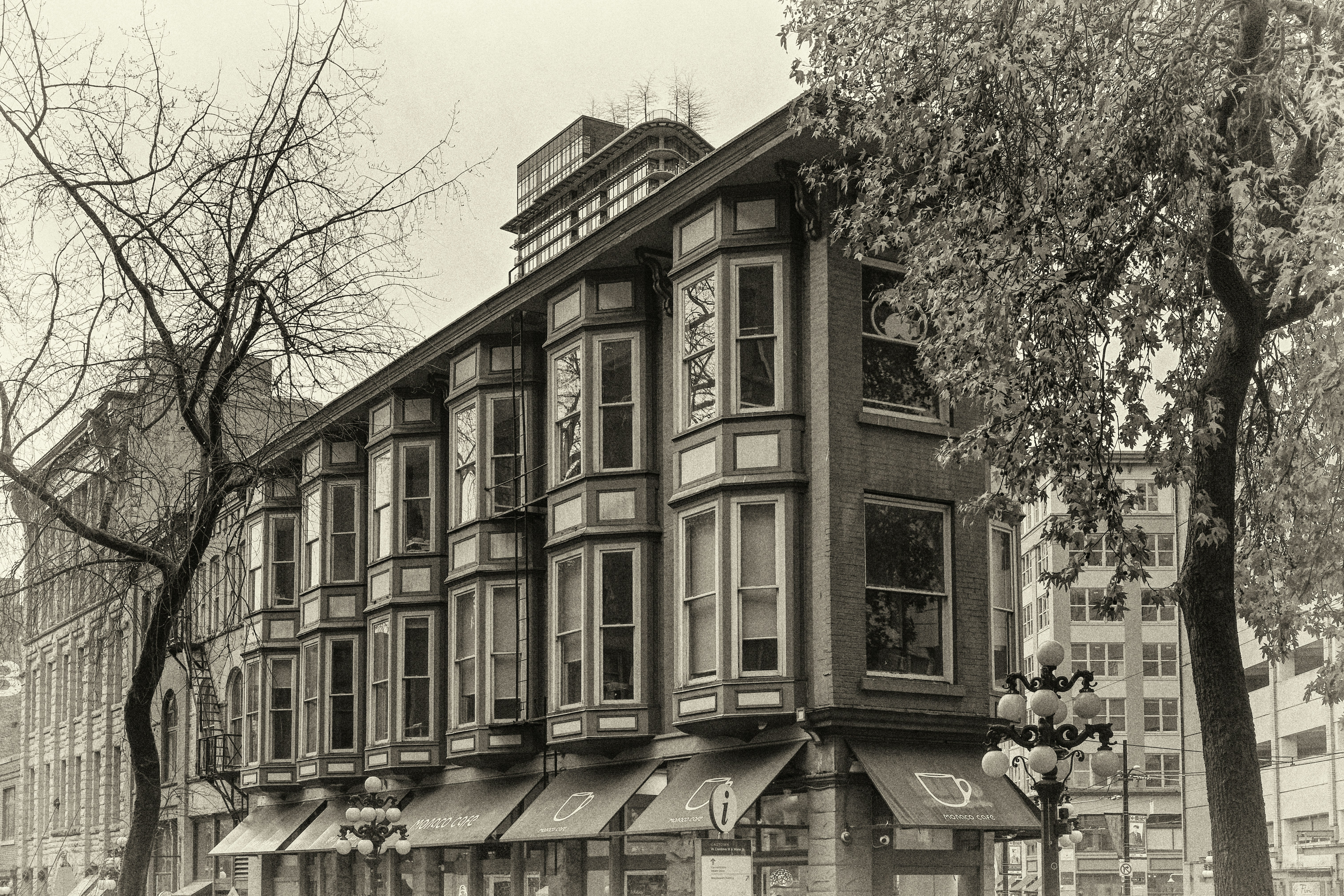Historic Corner Storefront Framed by Trees