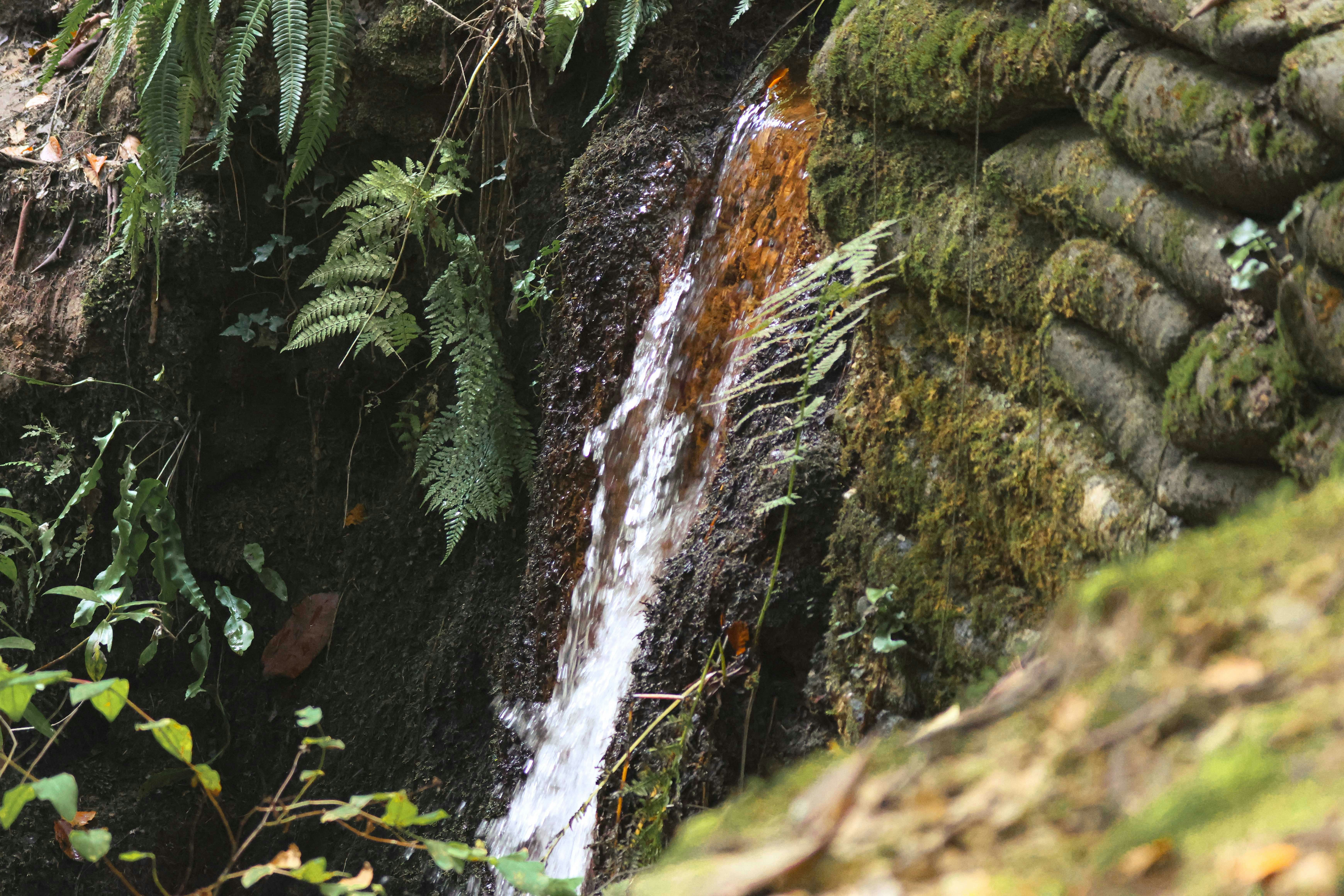 A small waterfall in the middle of a forest photo – Free Ashdown forest ...