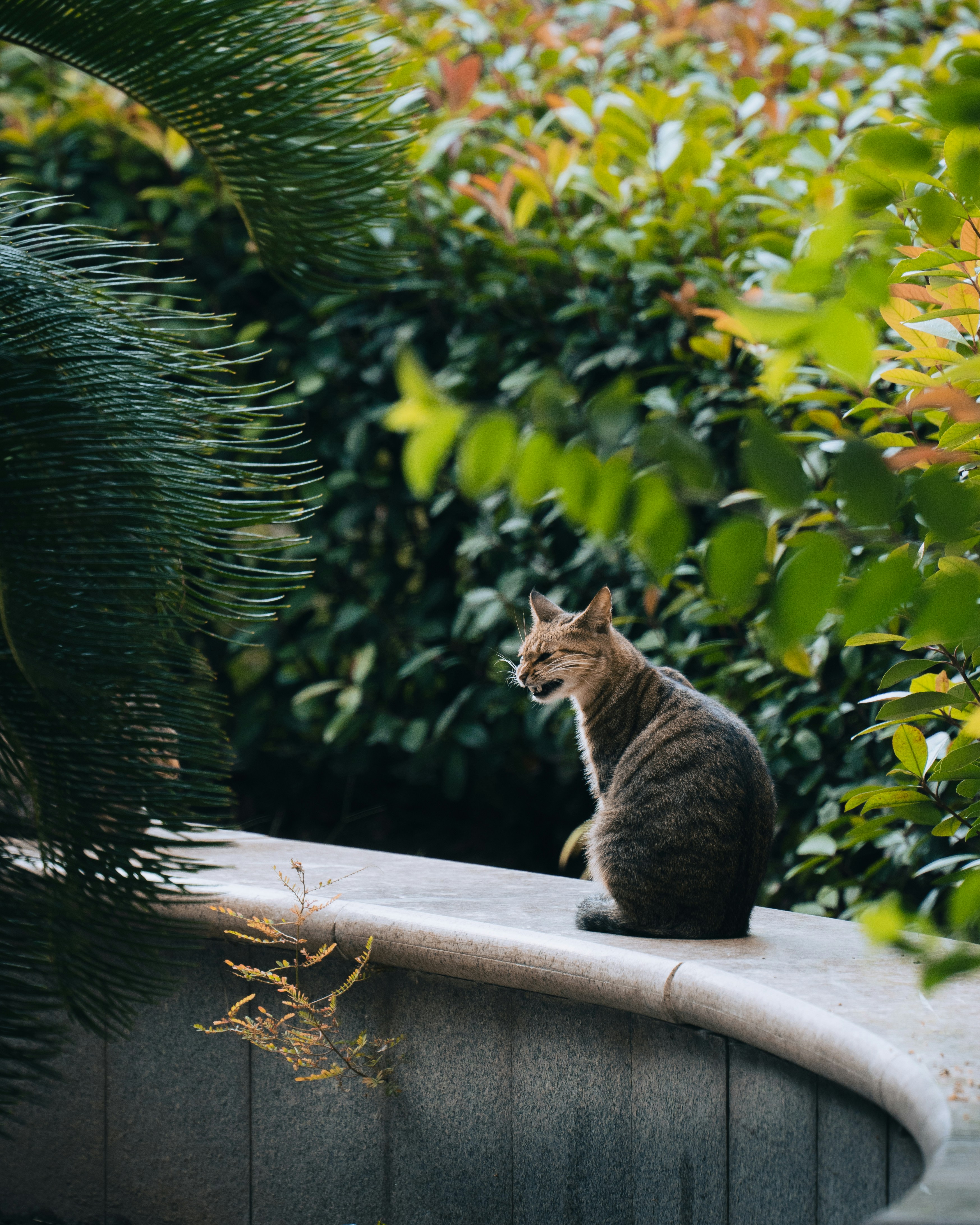 Photo by Freya Song with Sony Alpha 7 IV