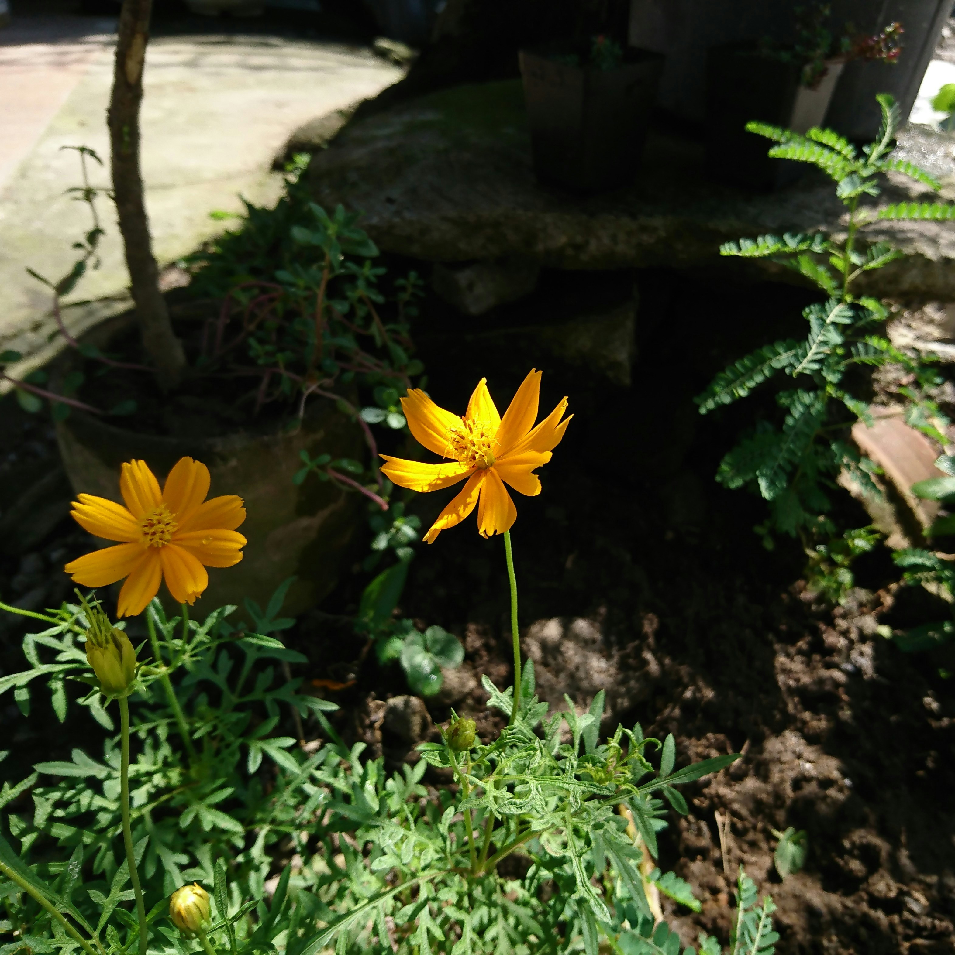 Photo by Lhar Capili with Sony Xperia XZ