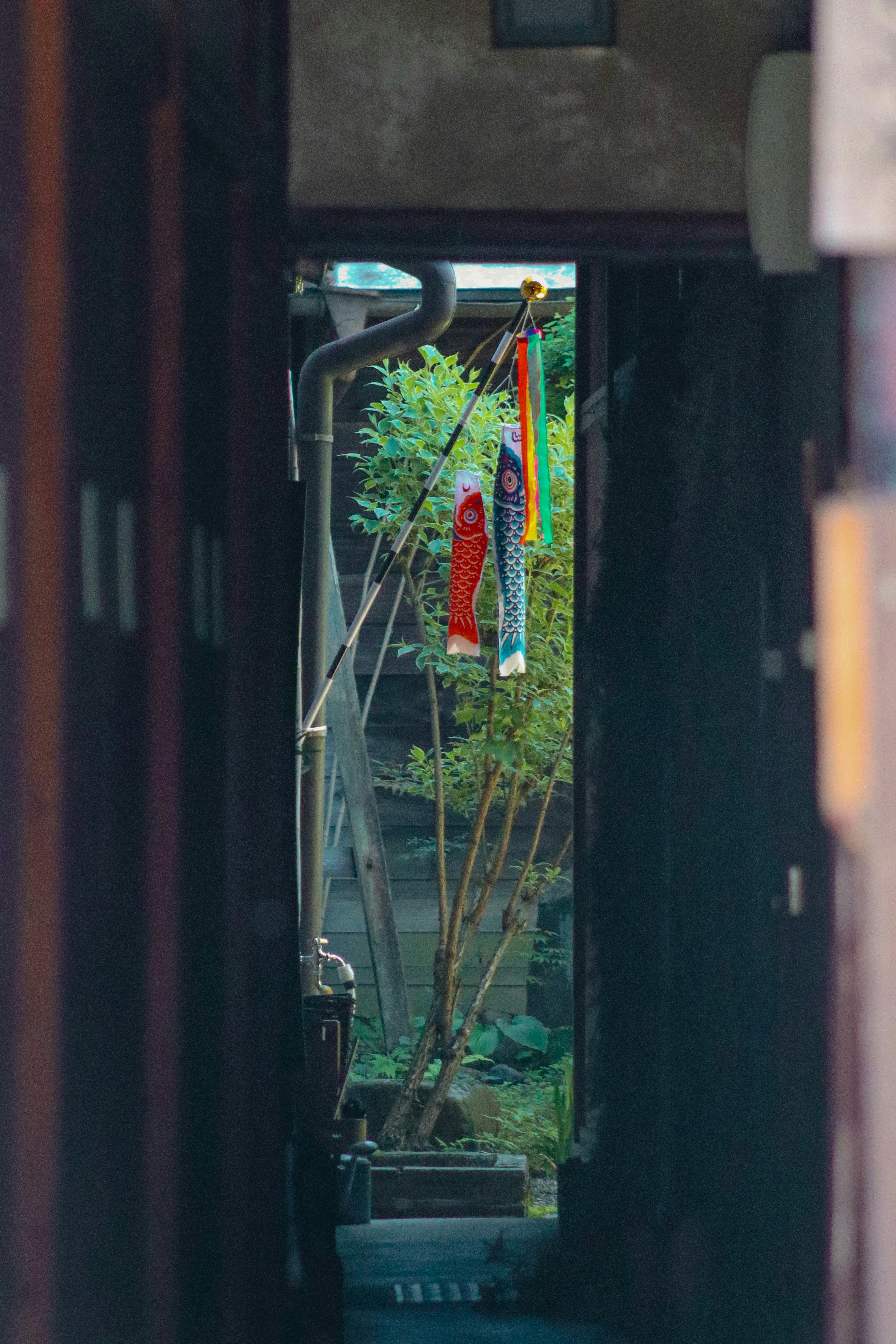 Glimpse