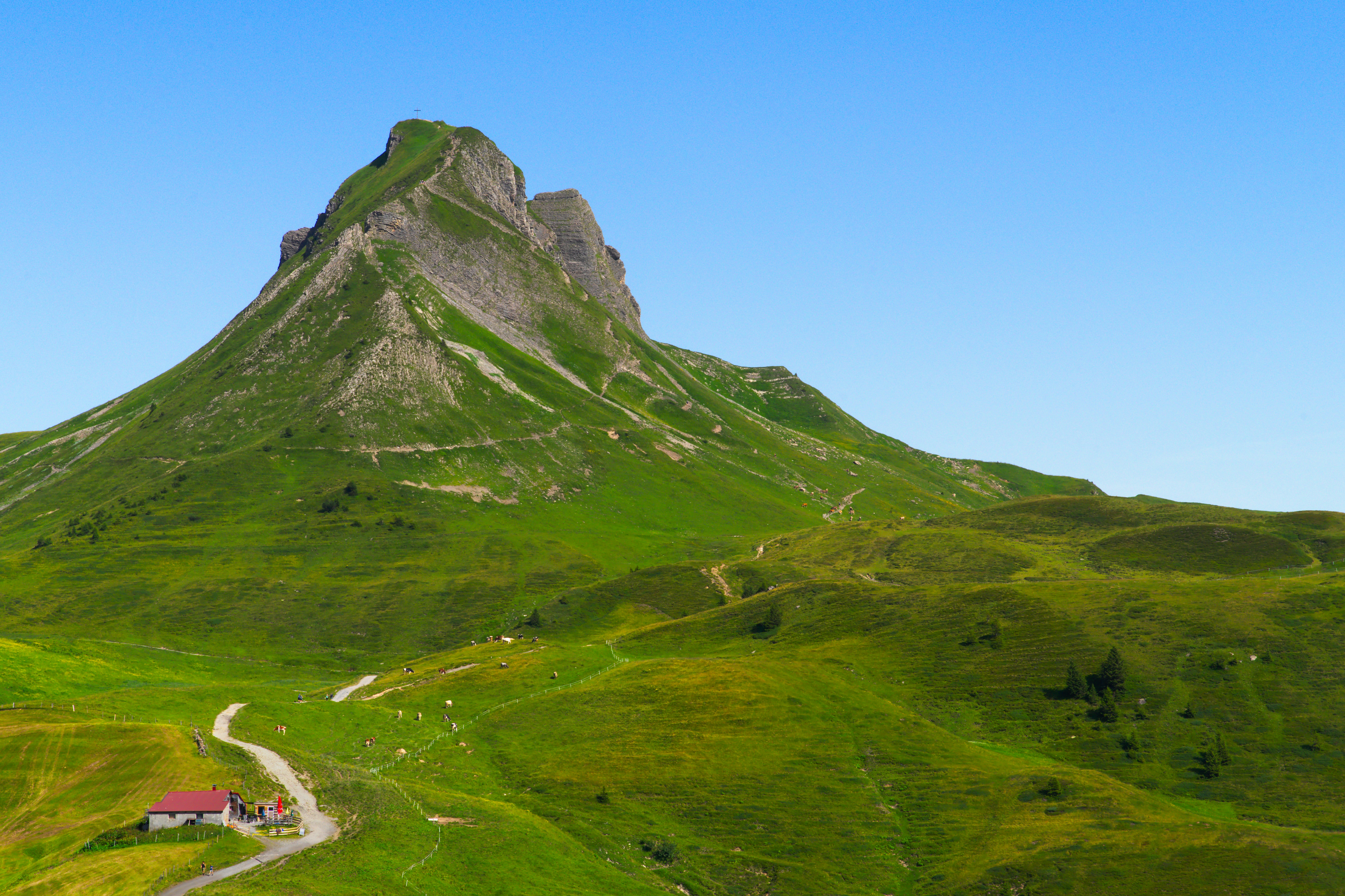 Green slopes lead to the sharp peak of Damülser Mittagsspitze under a clear blue sky.