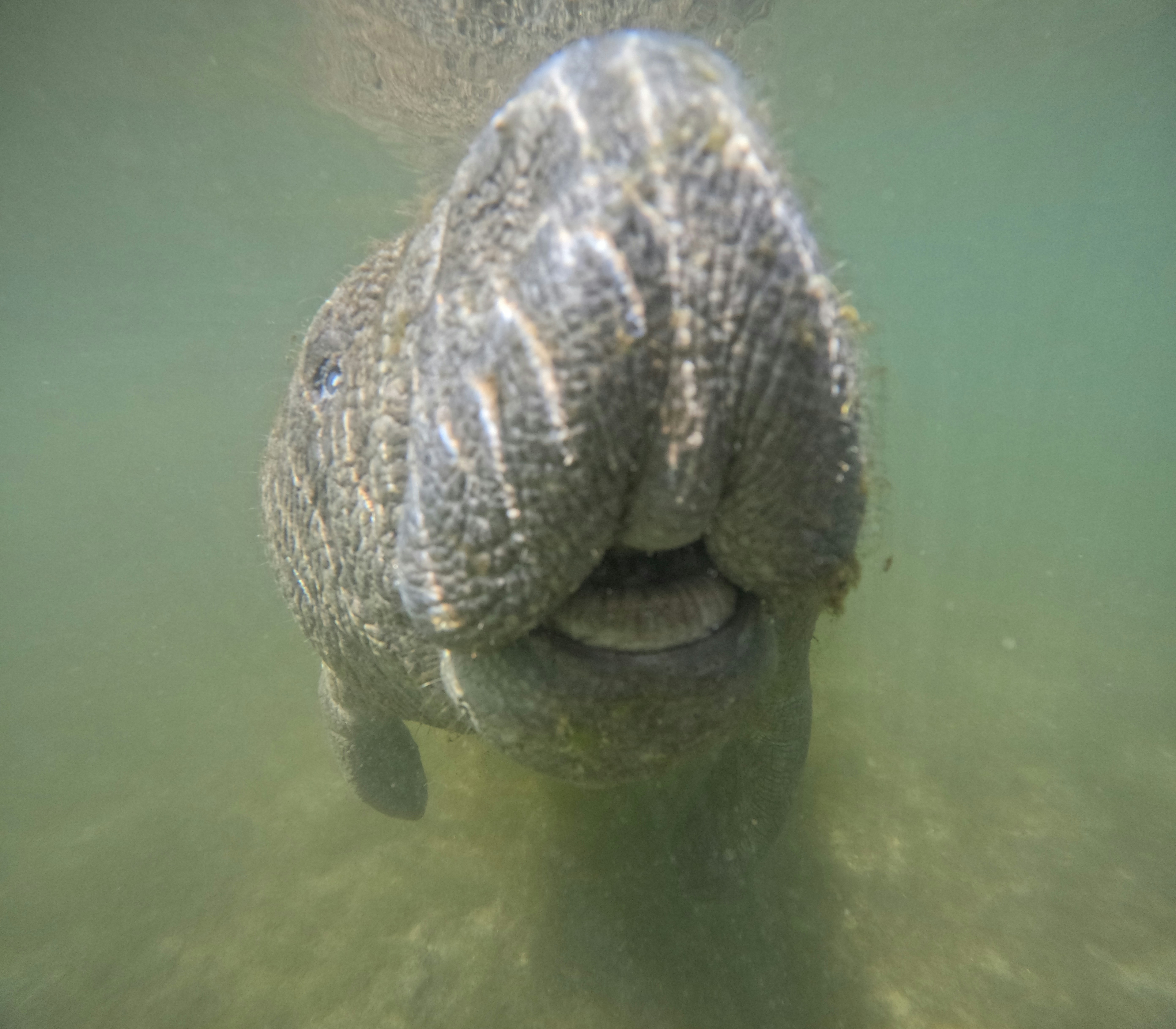 stephen sweeney (@stephensweeney) | Unsplash Photo Community