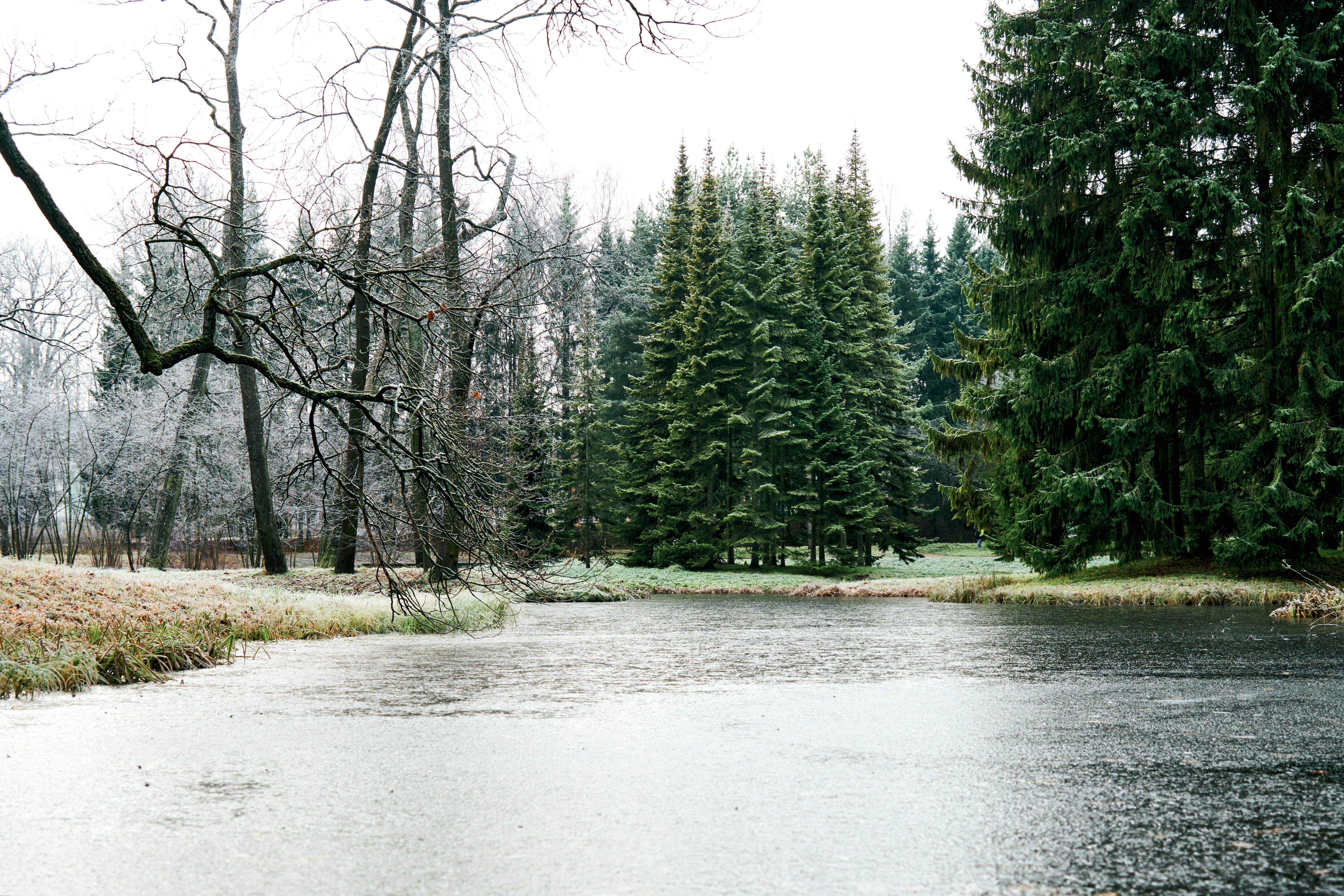 Photo by Vladimir Vereshchagin with Sony Alpha 6400
