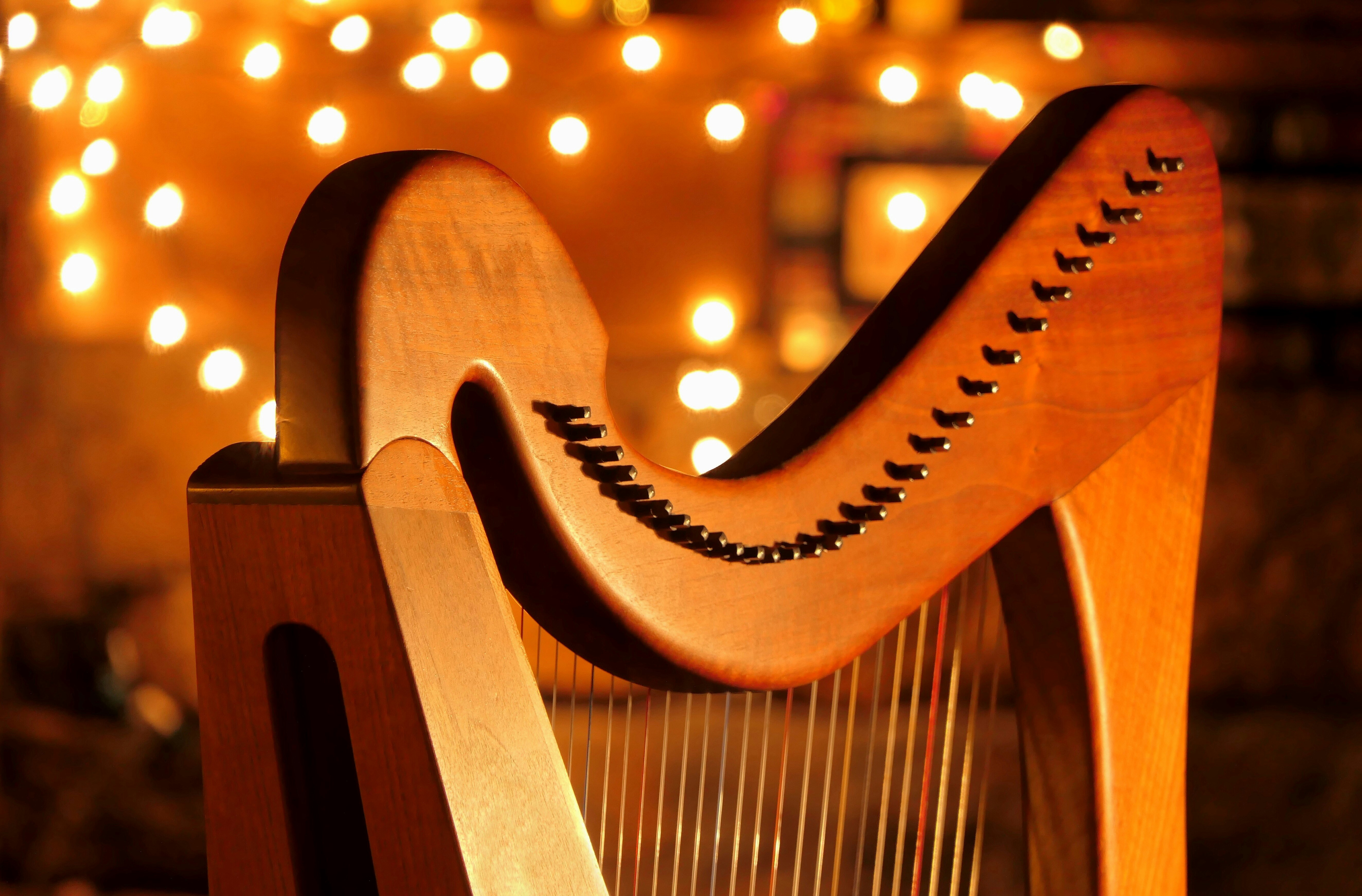 A close up of a musical instrument with lights in the background photo ...
