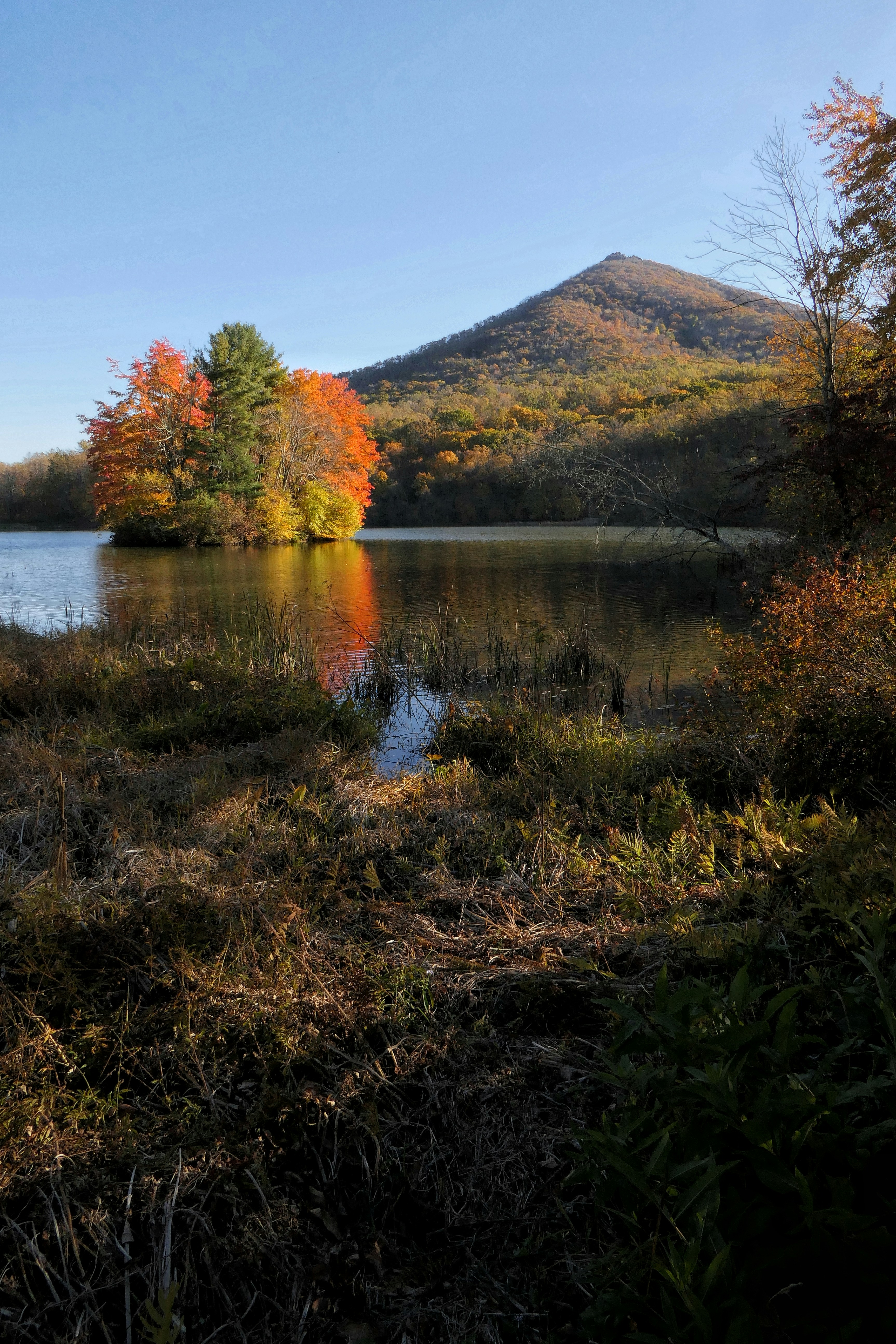 Autumn reflection in lake