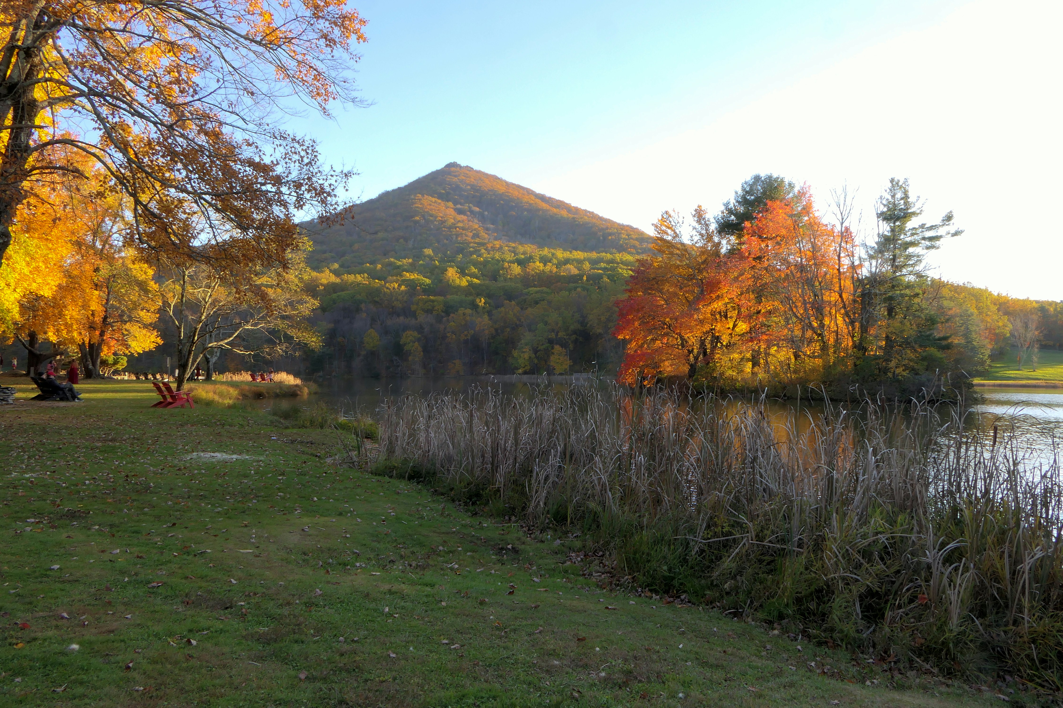 Autumn Crest at Lakeview Park: Golden Trees Framing a Summit