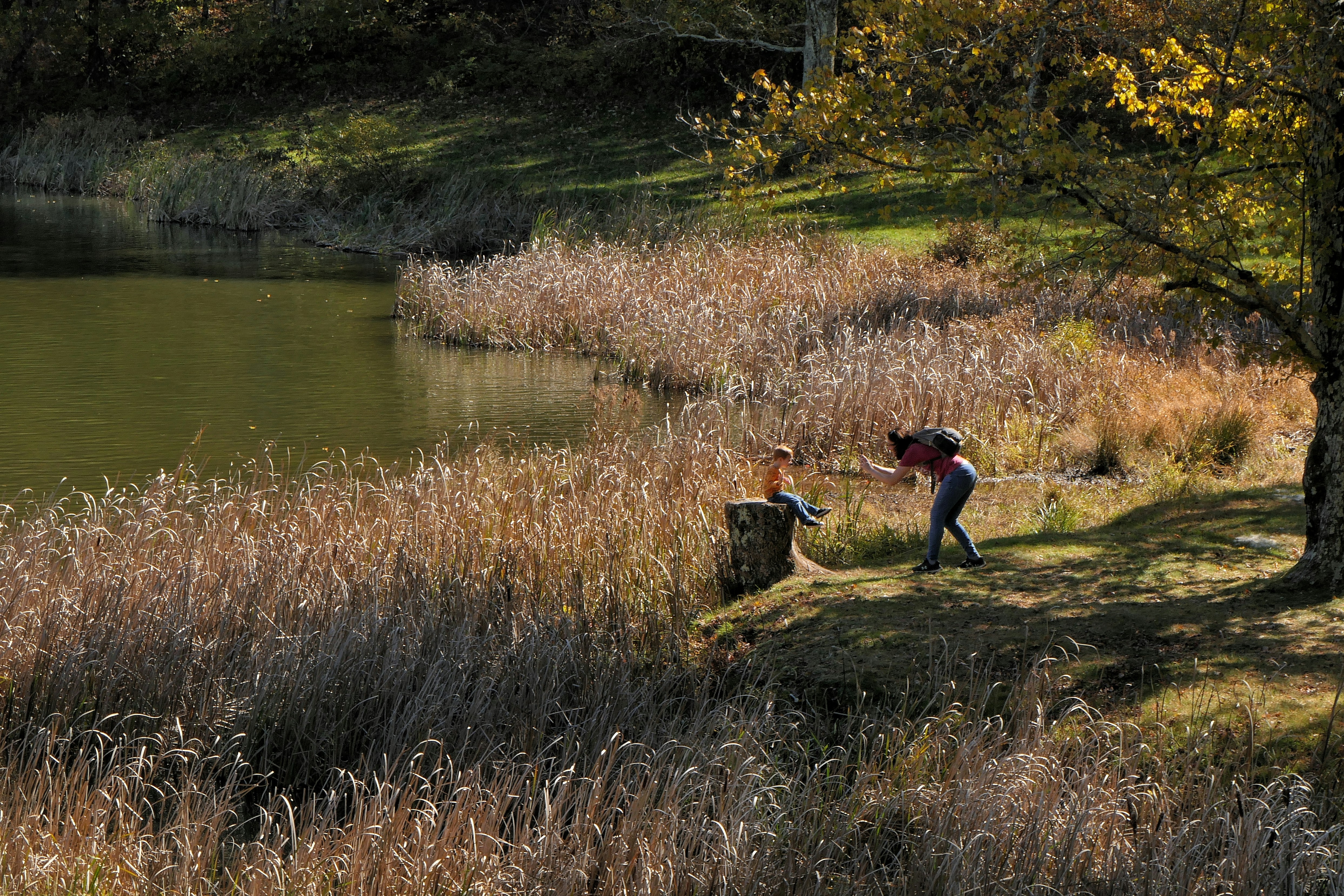 Reed-Fringed Lakeside: Quiet Exchange by the Water
