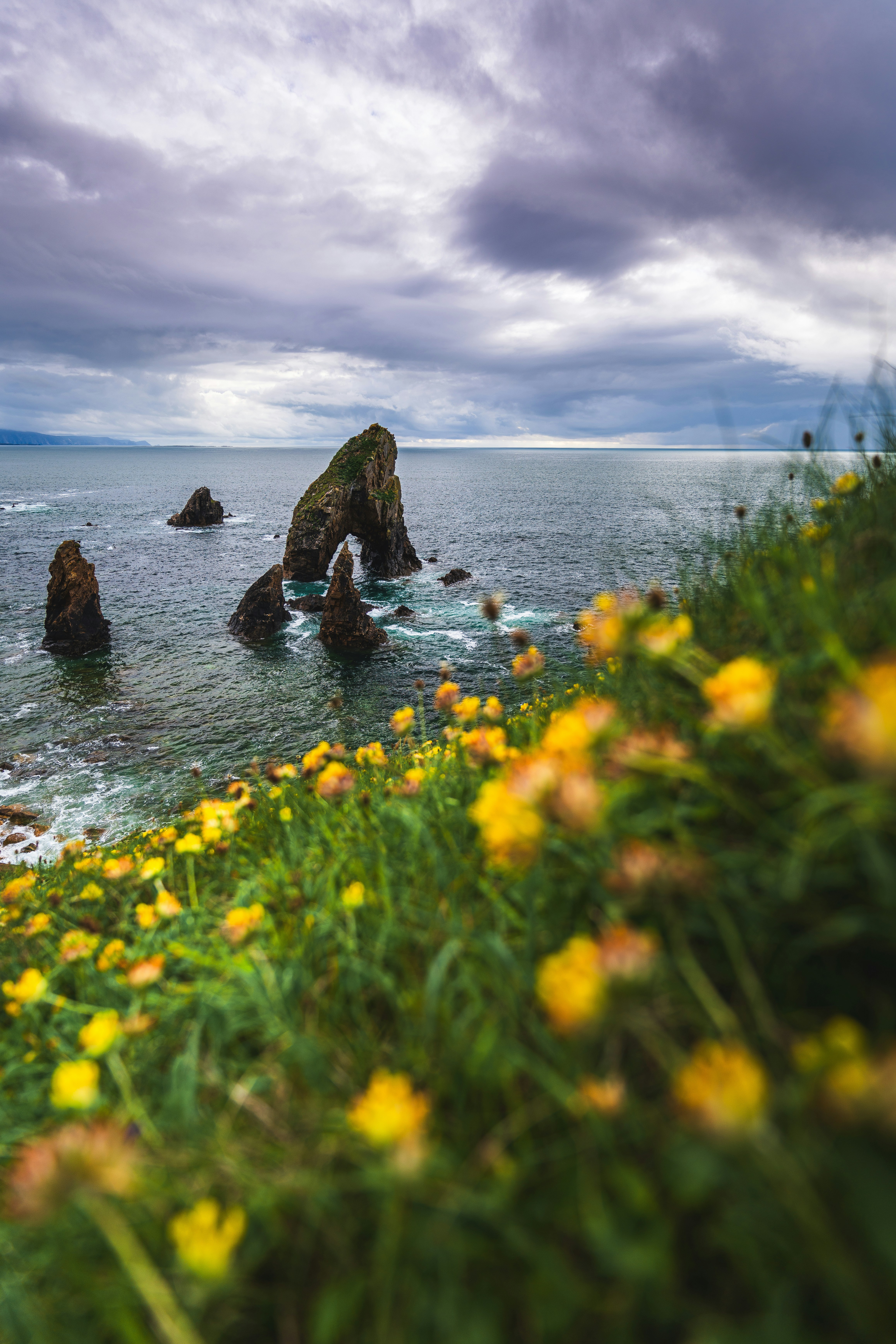 Sea Arch Amid Golden Wildflowers Under a Moody Coastal Sky