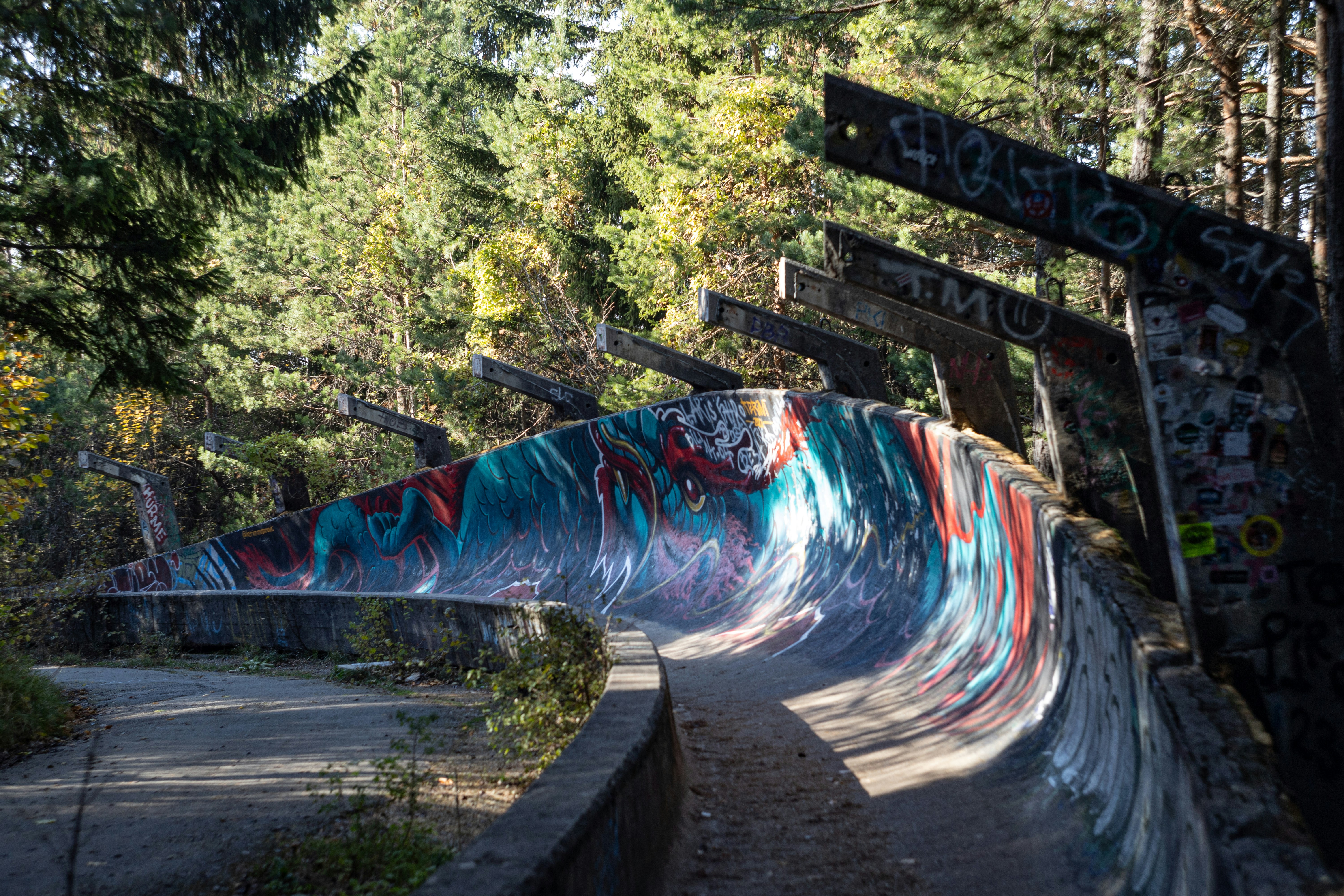 Graffiti-covered bobsled track weaving through a forest, illuminated by dappled sunlight.