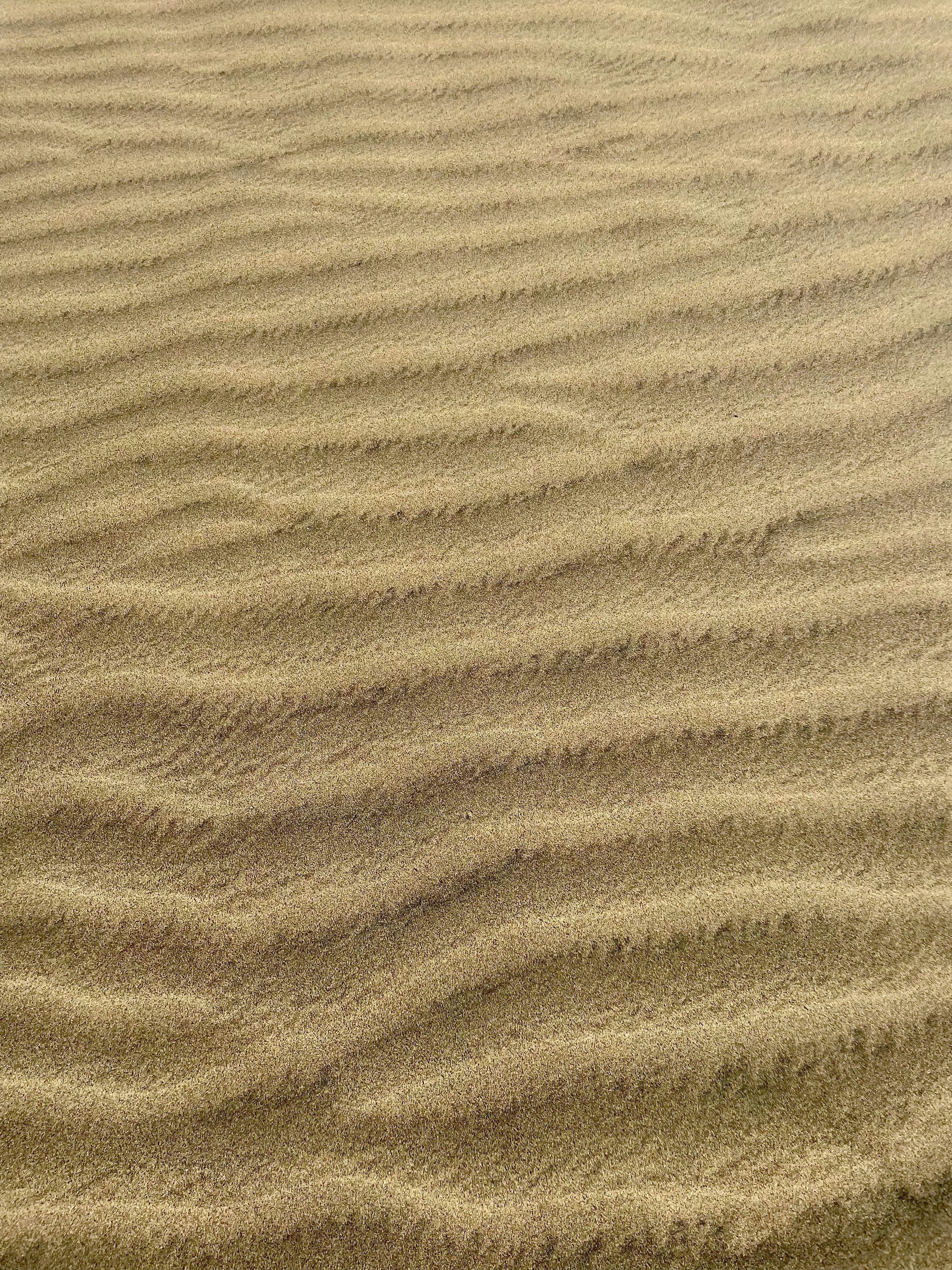 Photo by Salome Papx with Apple iPhone 12