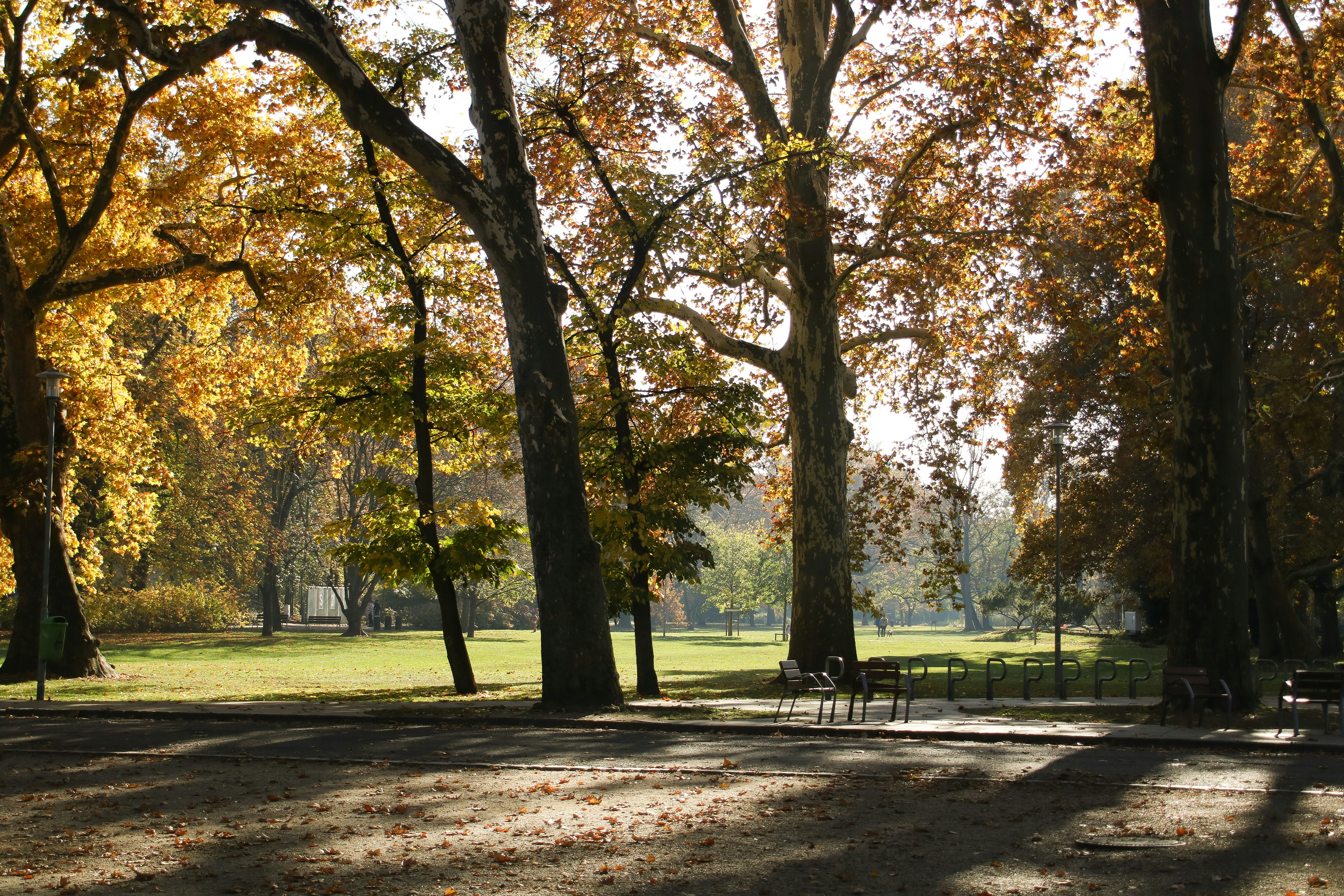 Photo by Christina Bozh with Canon EOS 750D