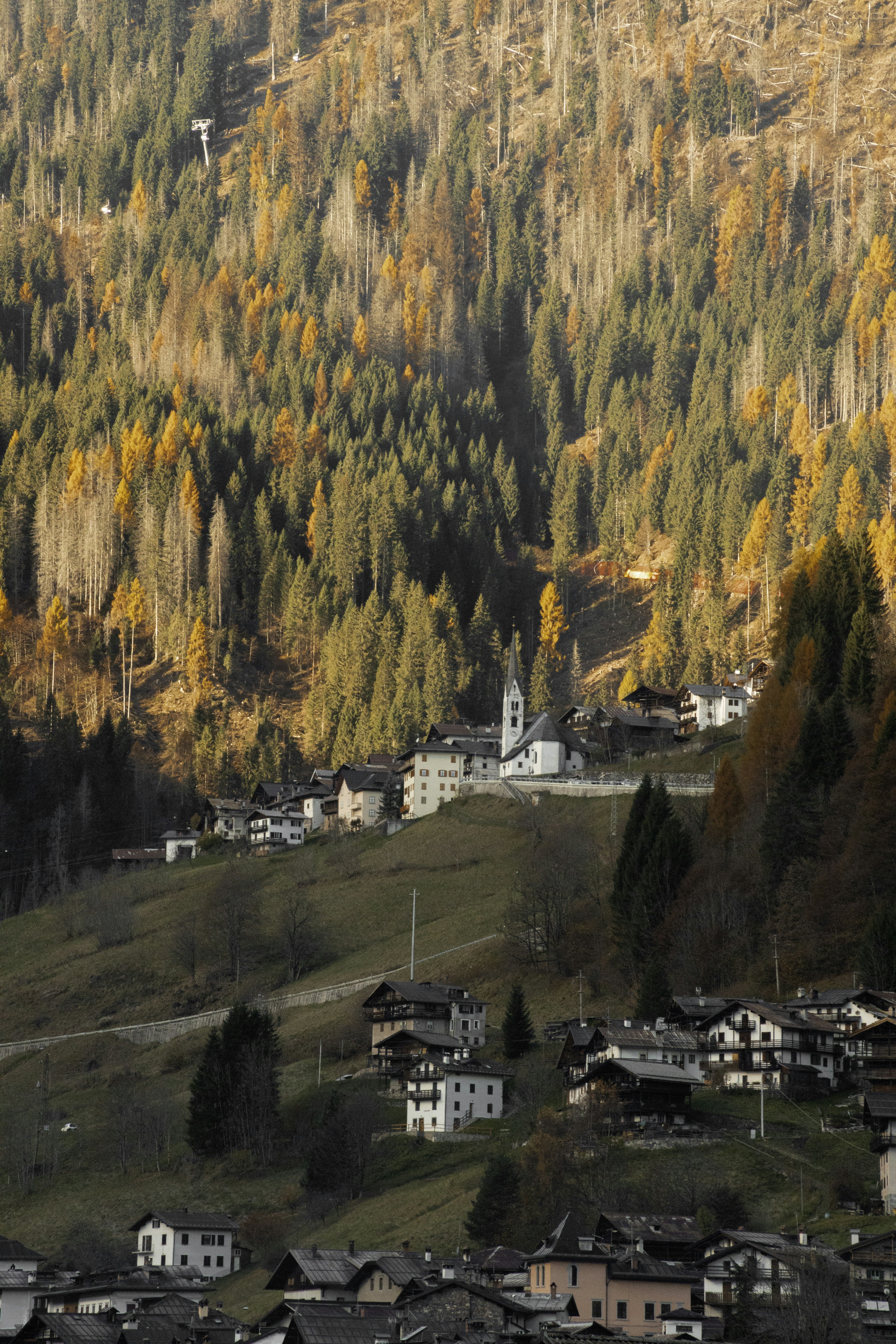 Autumn Village Cascades Through a Pine-Dusted Valley