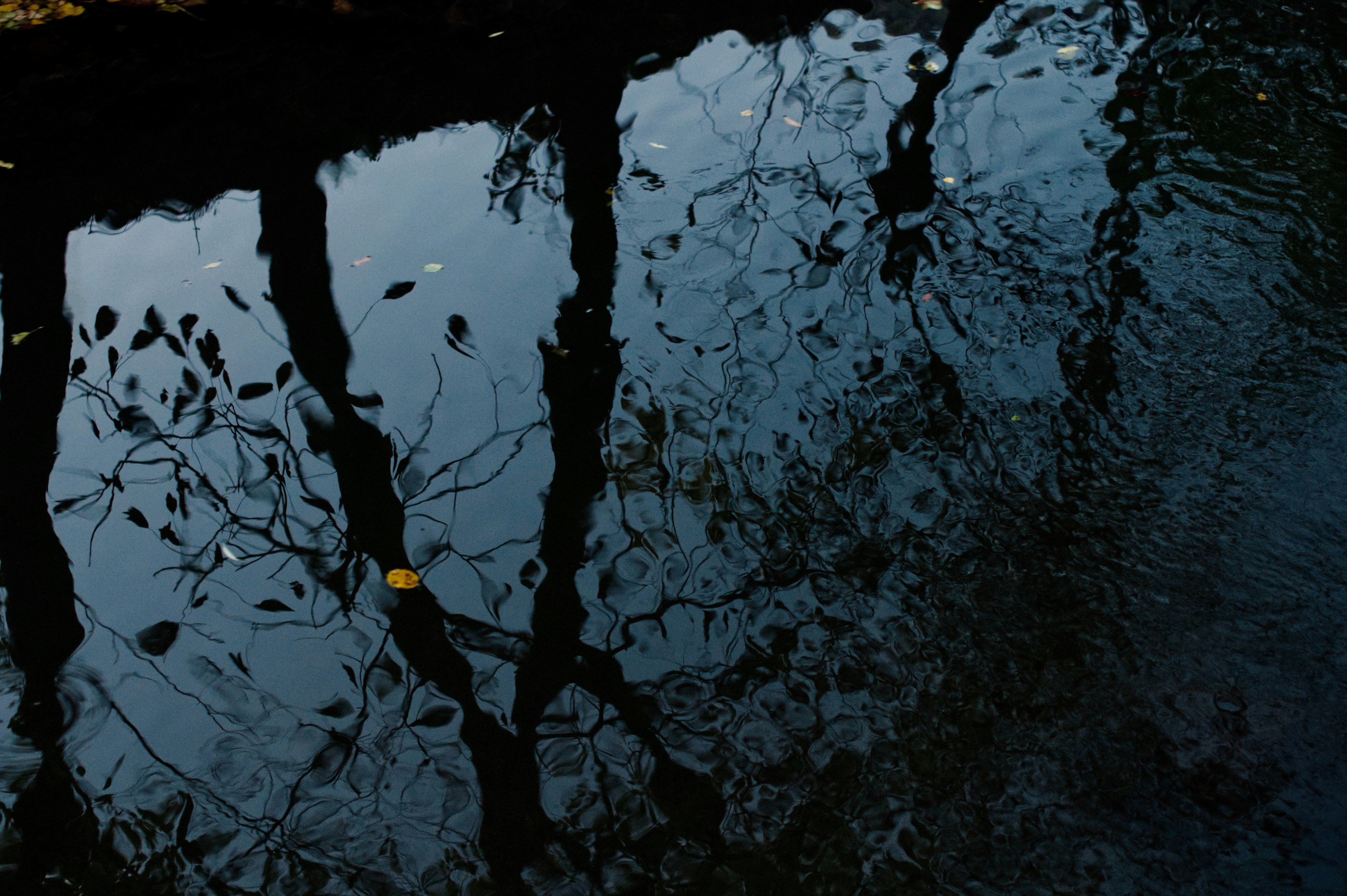 Photo by Lj. Filipović with Nikon D5000